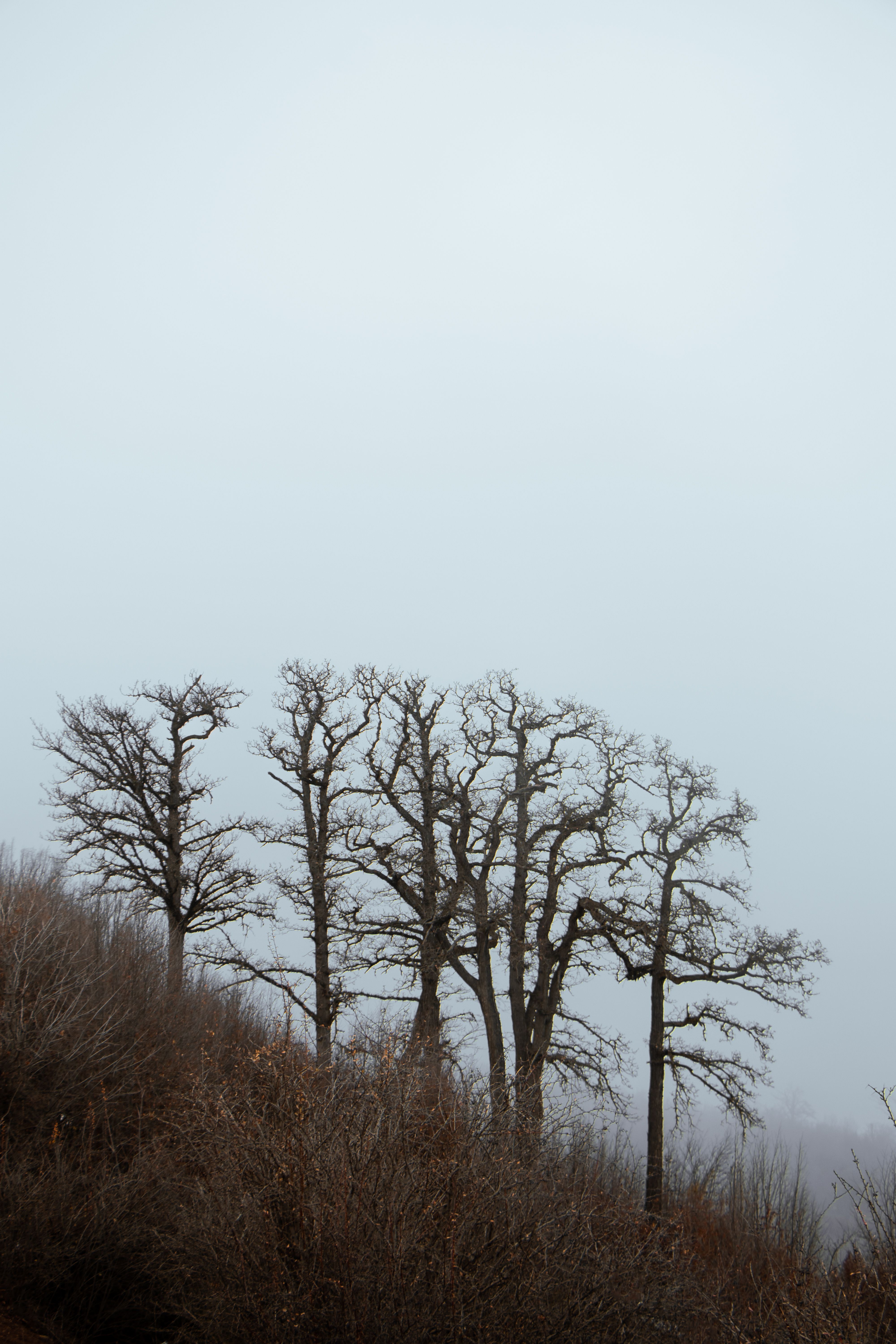 Hill Side Photos, Download The BEST Free Hill Side Stock Photos & HD Images