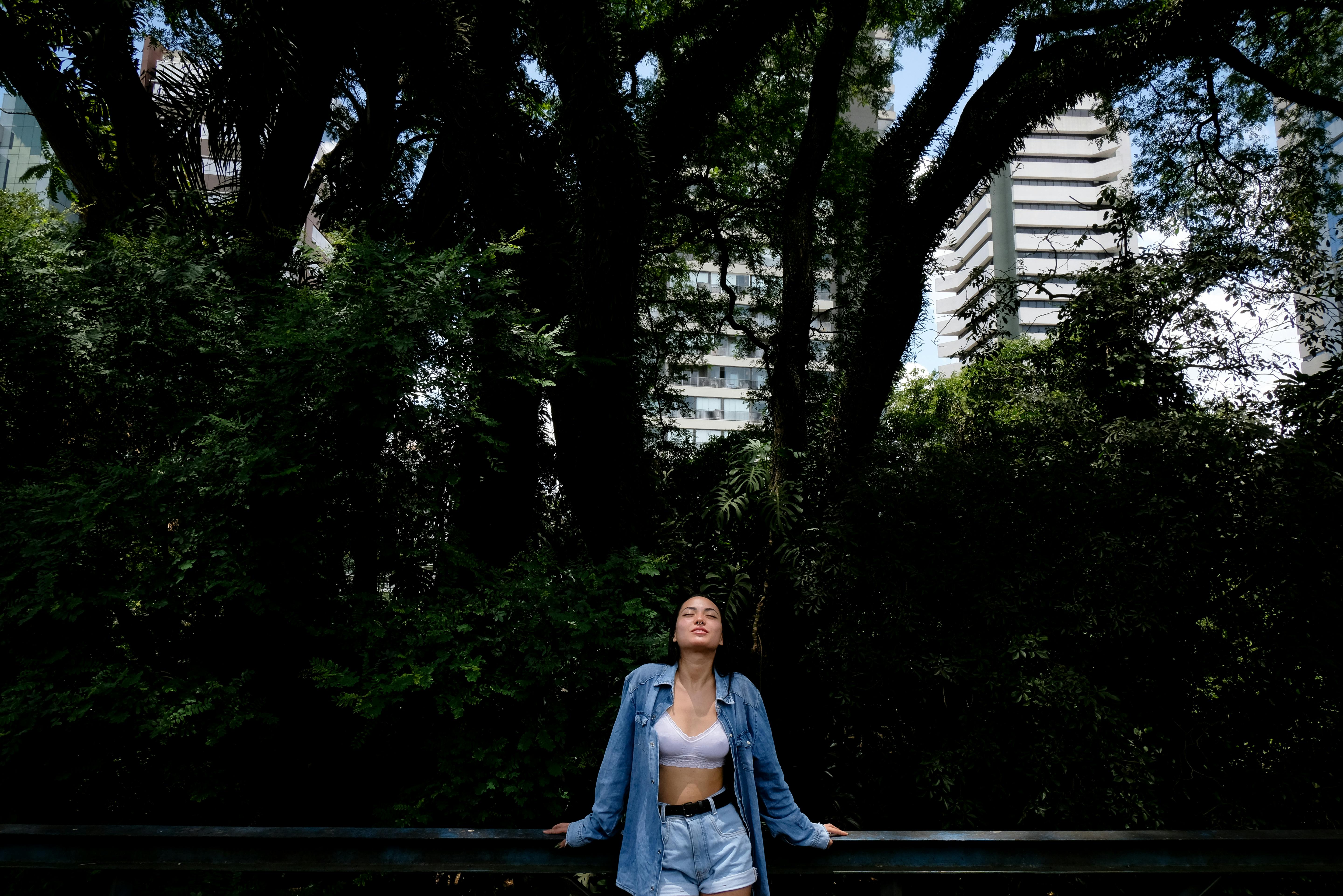 Jean Tree Photos, Download The BEST Free Jean Tree Stock Photos & HD Images