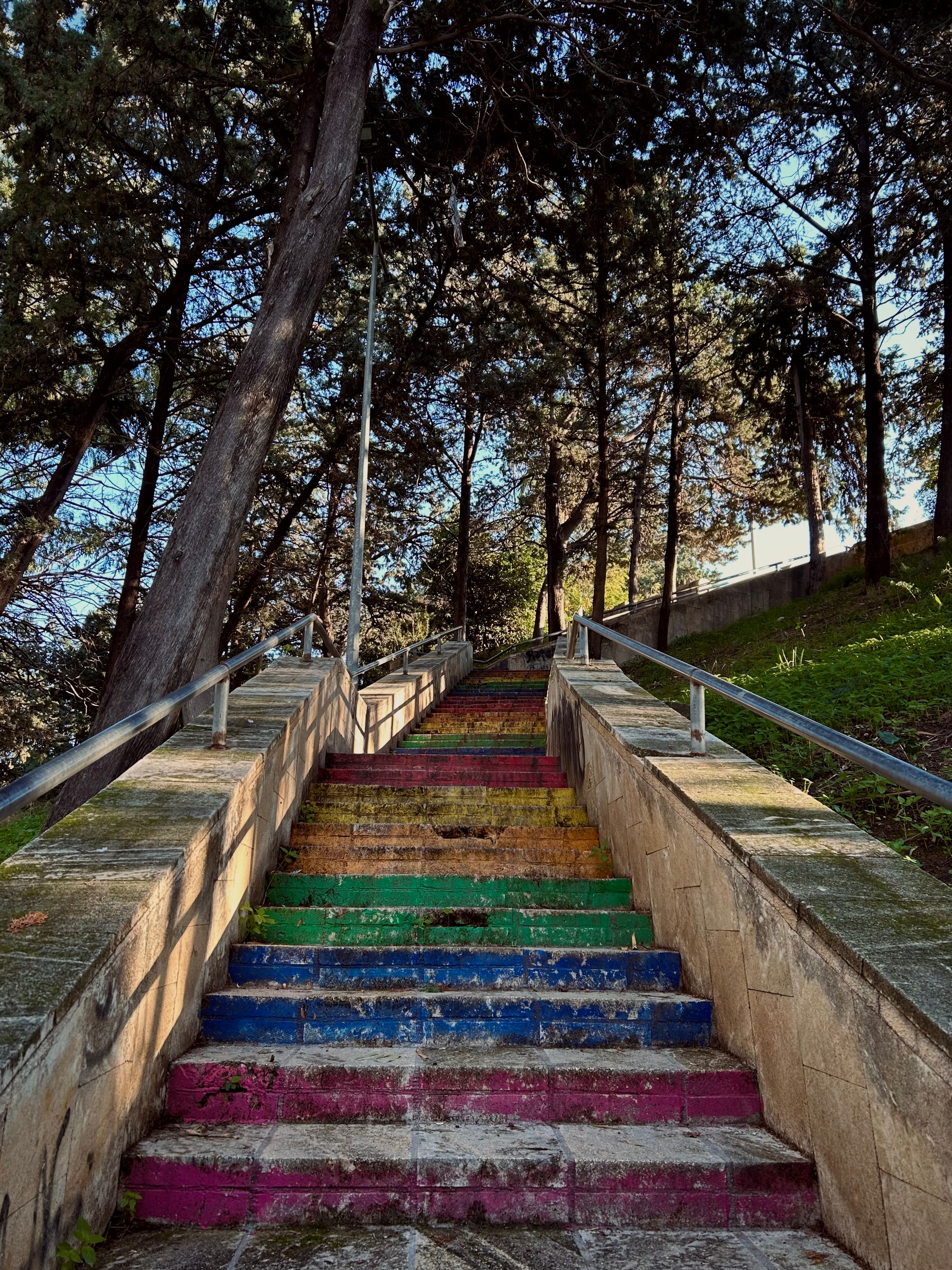 Colorful Concrete Stairs Near Trees · Free Stock Photo