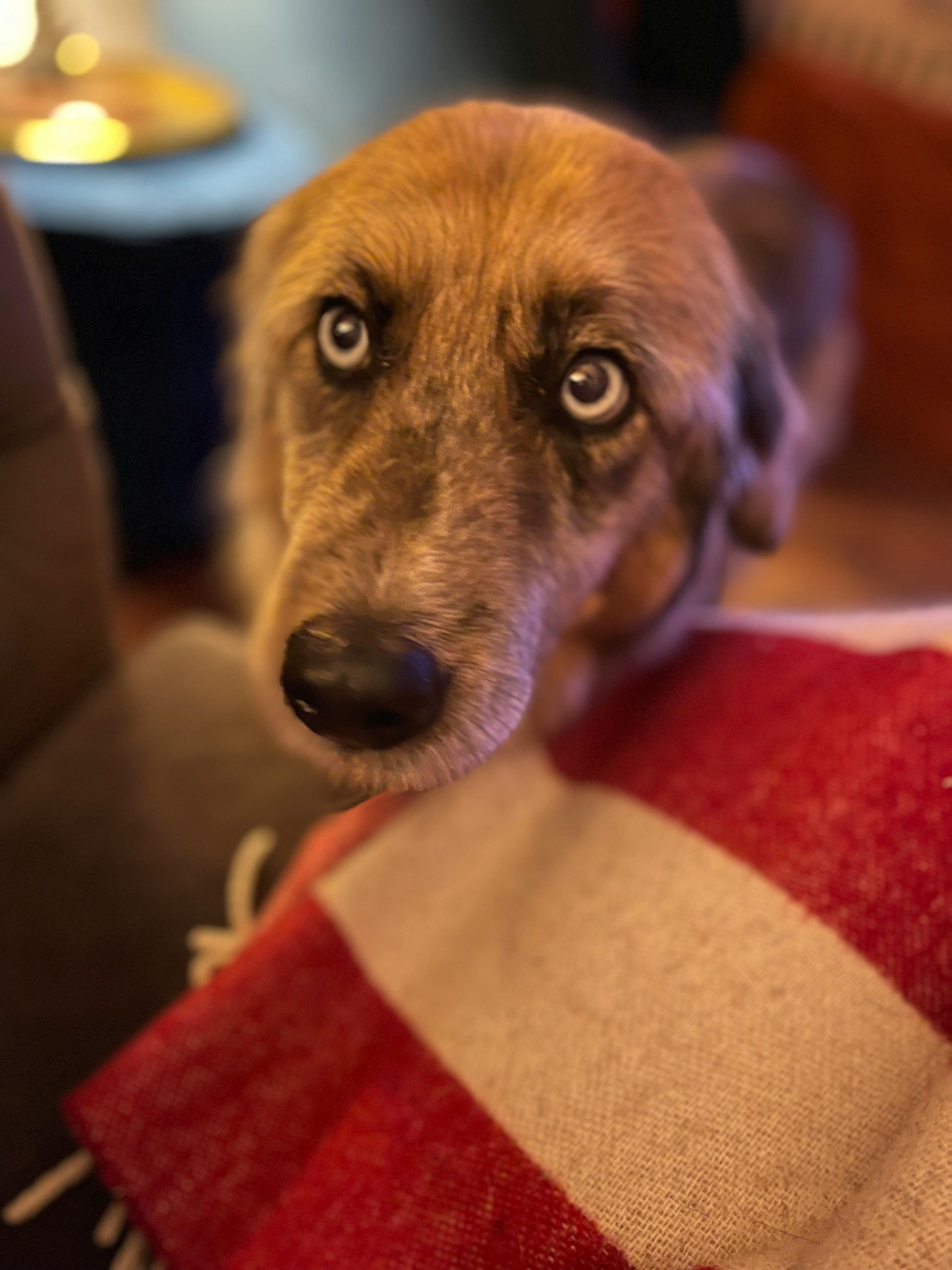 Catherine Harding Wiltshire - Photography