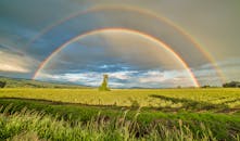 More 260 Rainbow Synonyms. Similar words for Rainbow.