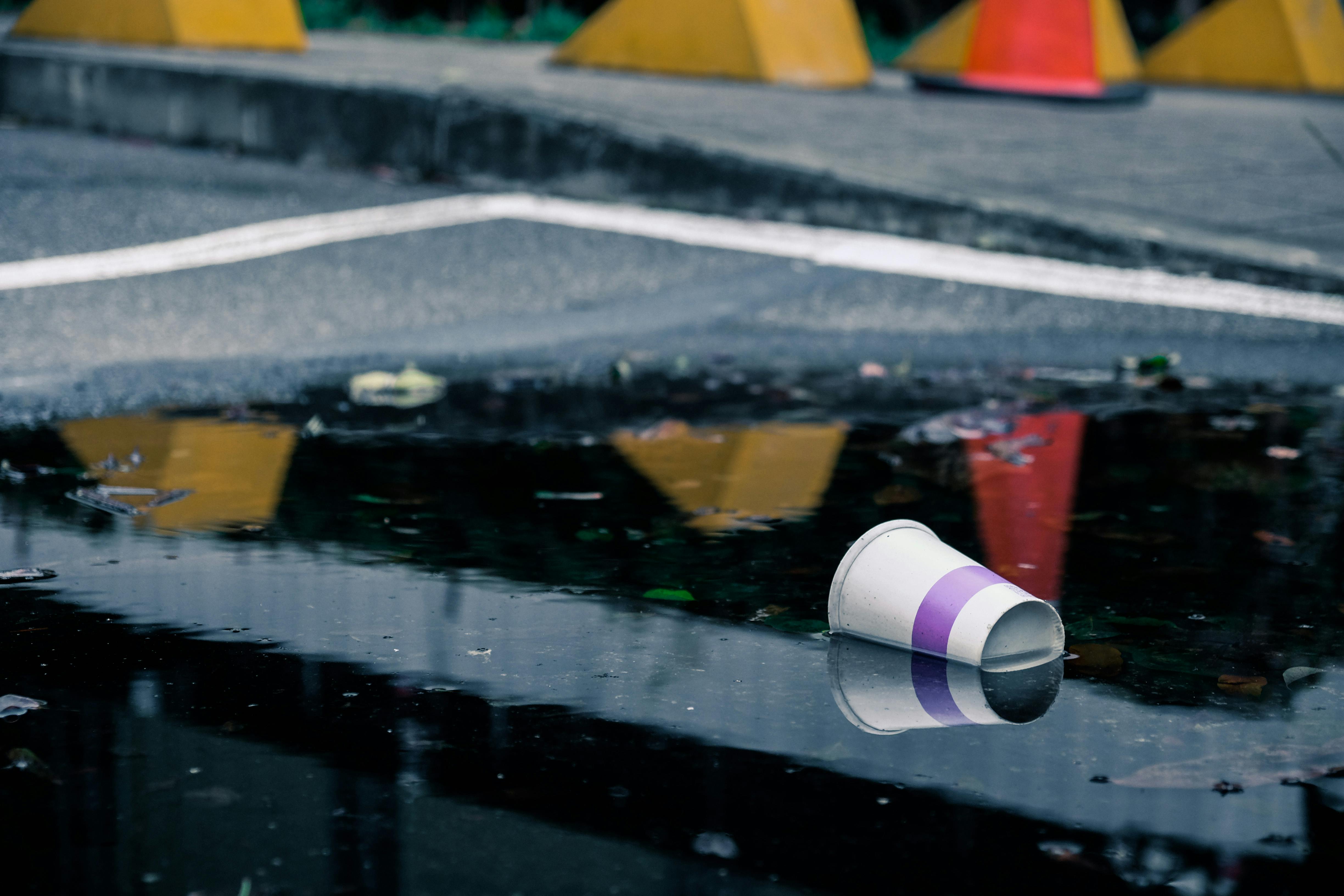 A Disposable Cup Lying in the Puddle on a Street · Free Stock Photo