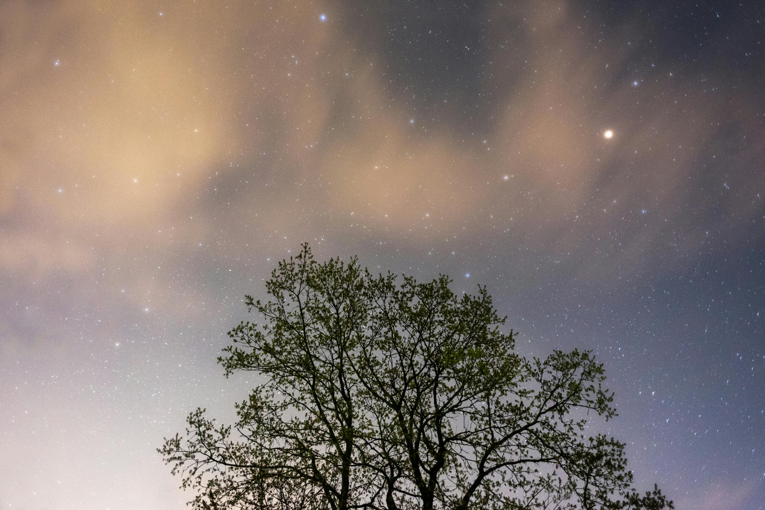 Low Angle Shot of Man Looking on Night Sky · Free Stock Photo