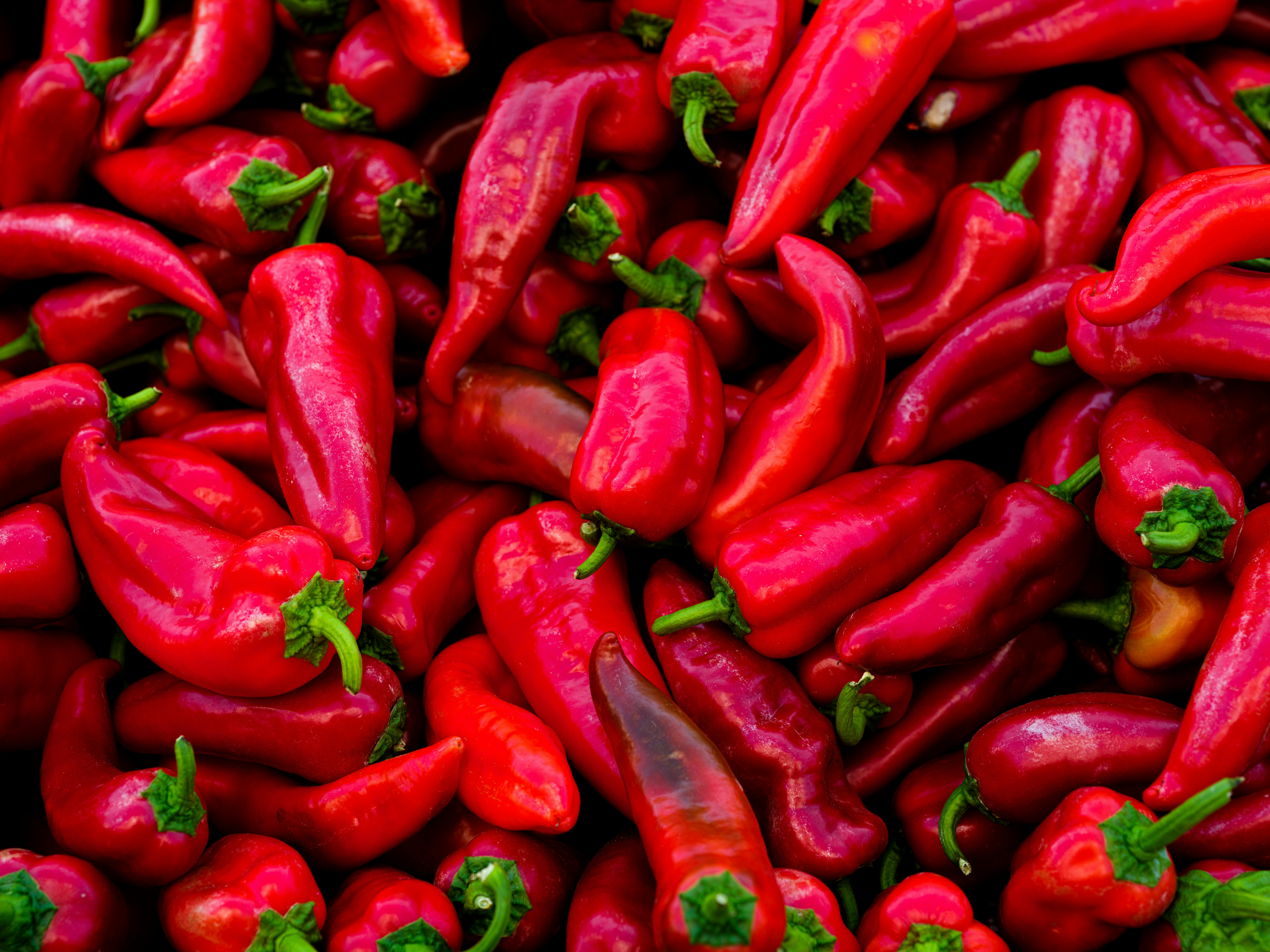 Three Bell Peppers · Free Stock Photo