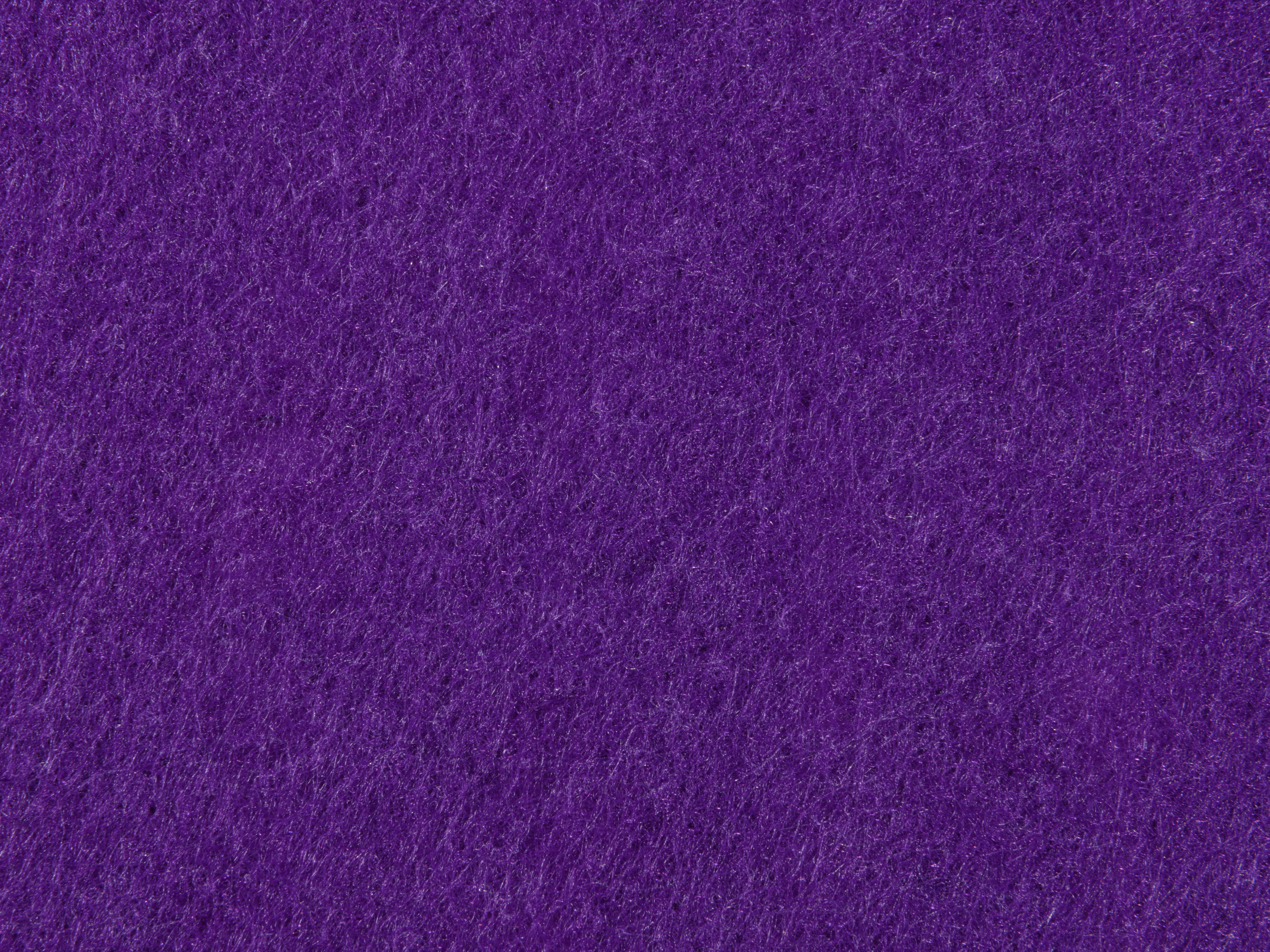 Closeup of a Violet Carpet · Free Stock Photo