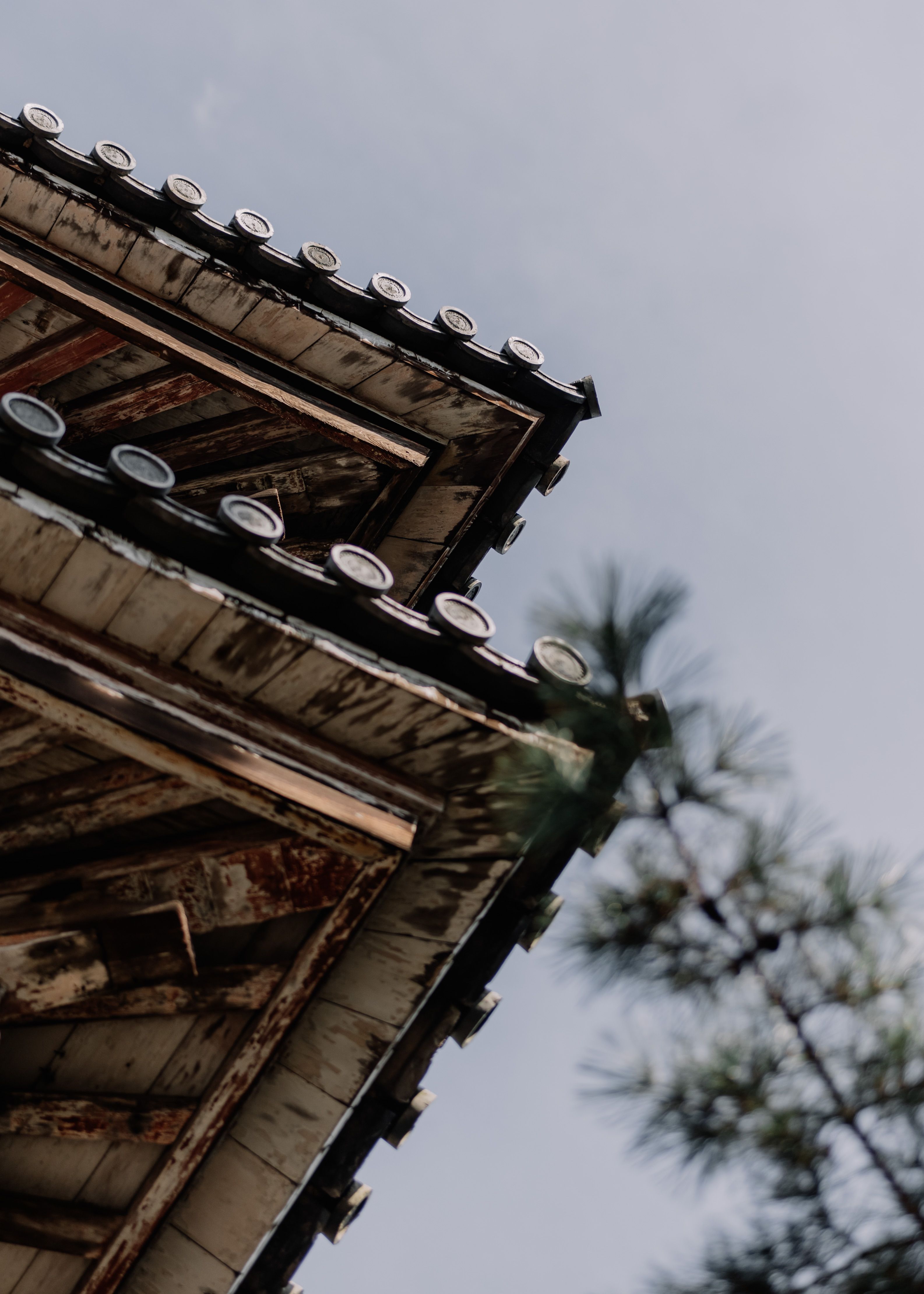 Tile on Sunlit Building Roof Corner · Free Stock Photo