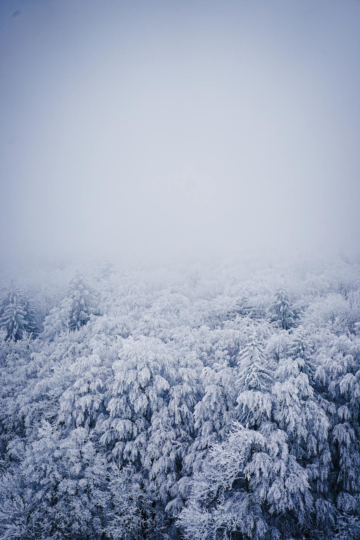 Deep Fog Photos, Download The BEST Free Deep Fog Stock Photos & HD Images