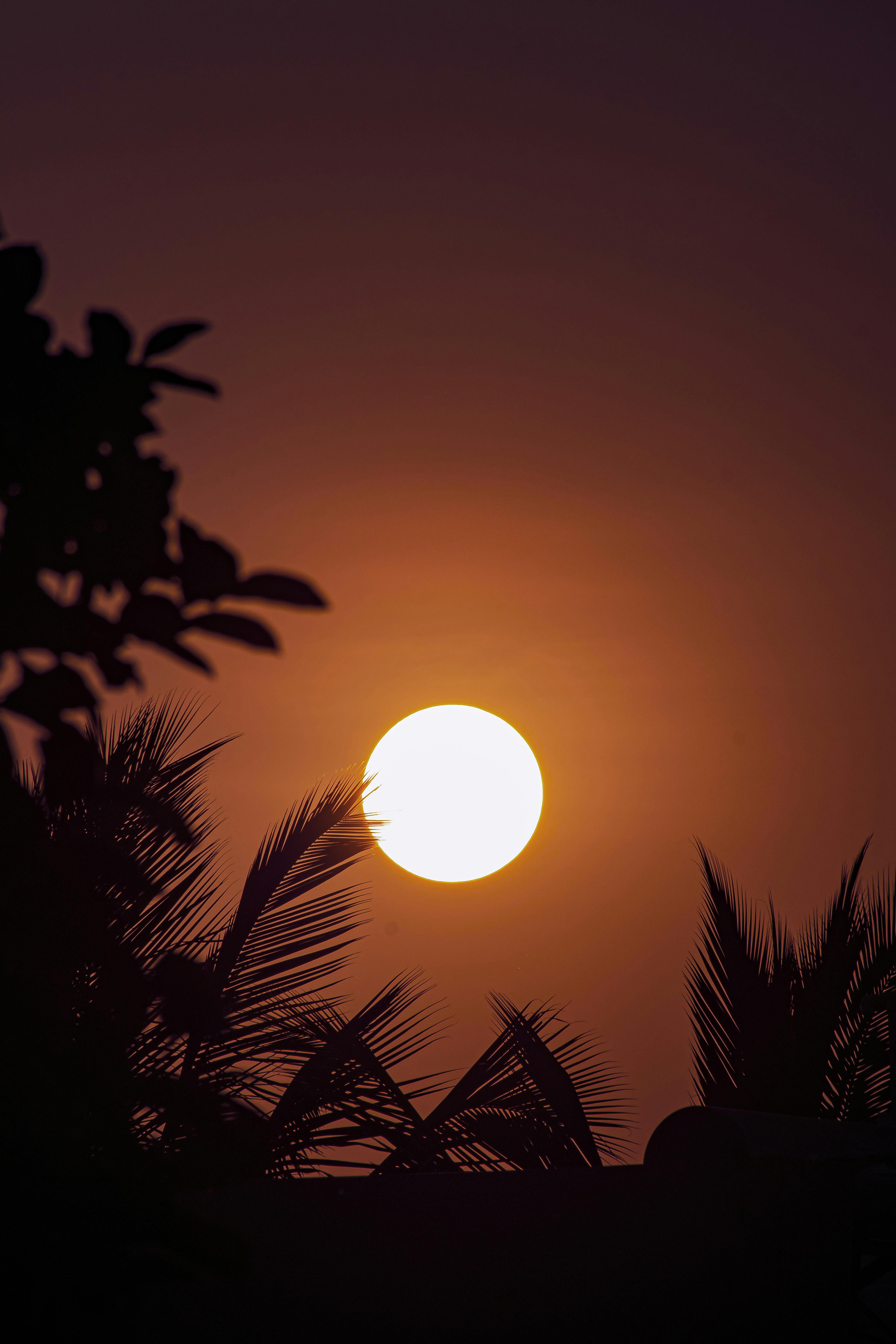 Sun Lash Photos, Download The BEST Free Sun Lash Stock Photos & HD Images