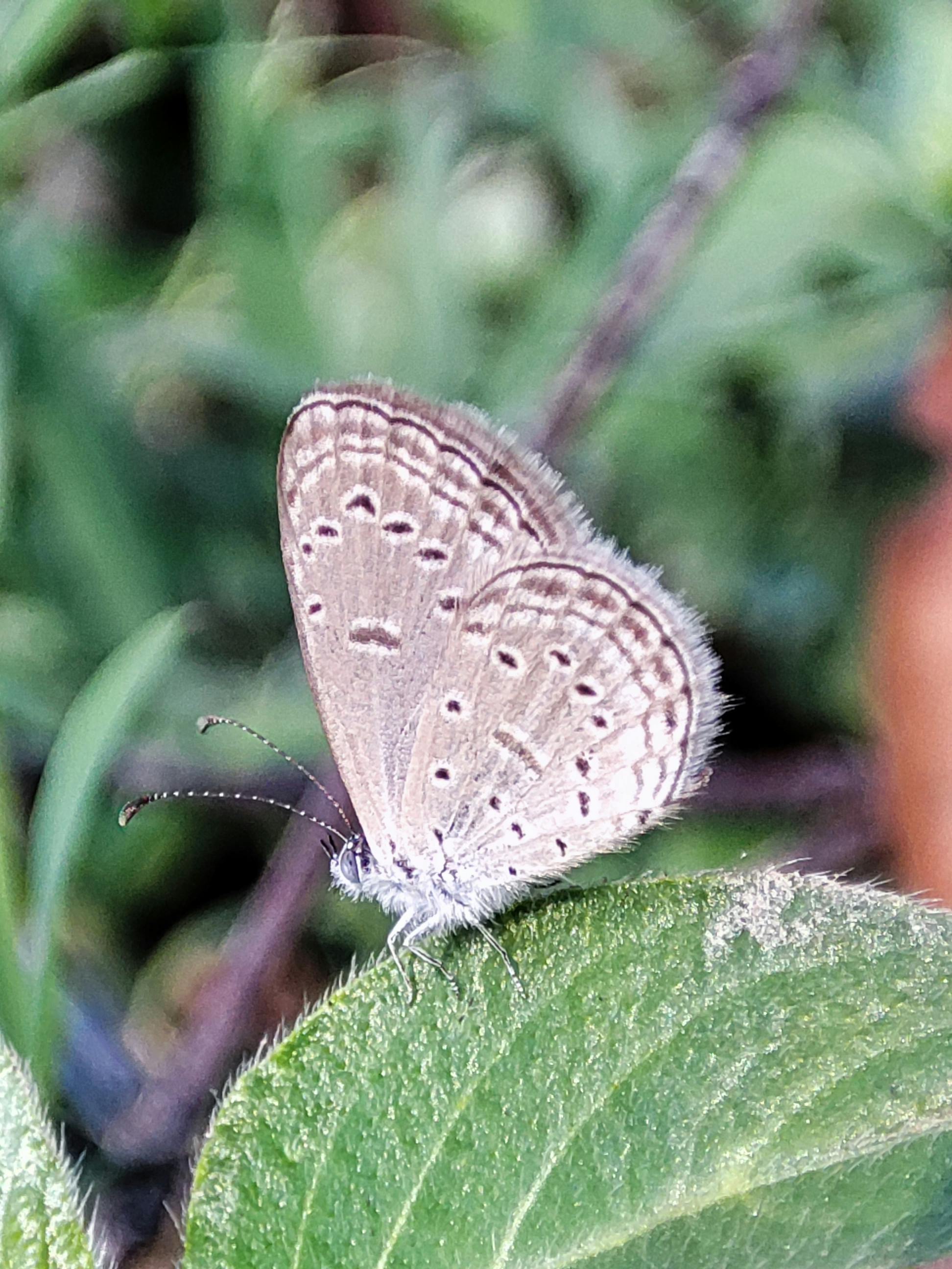 Rabbi Islam - Photography