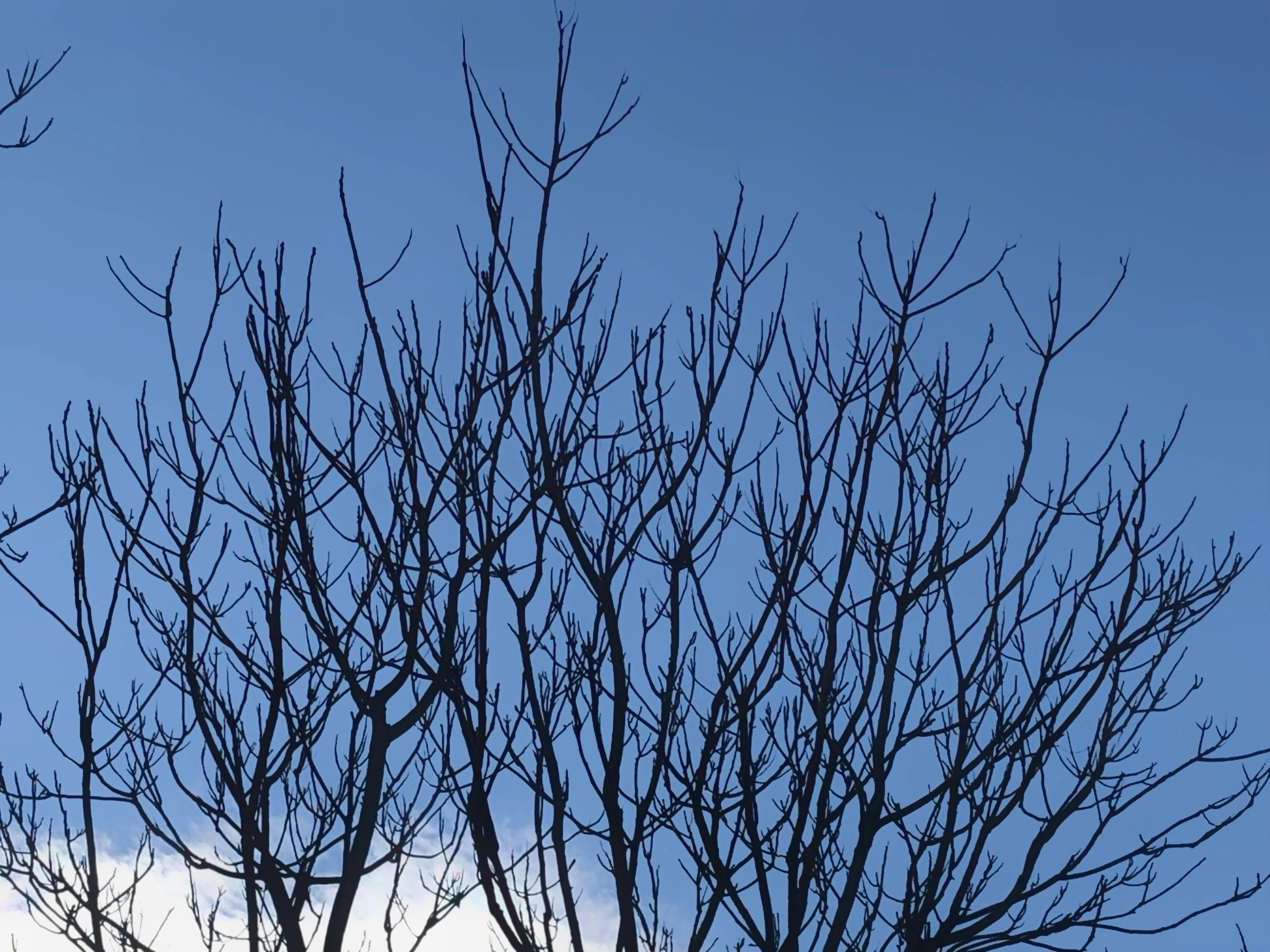 Albert Roman – Fotografie