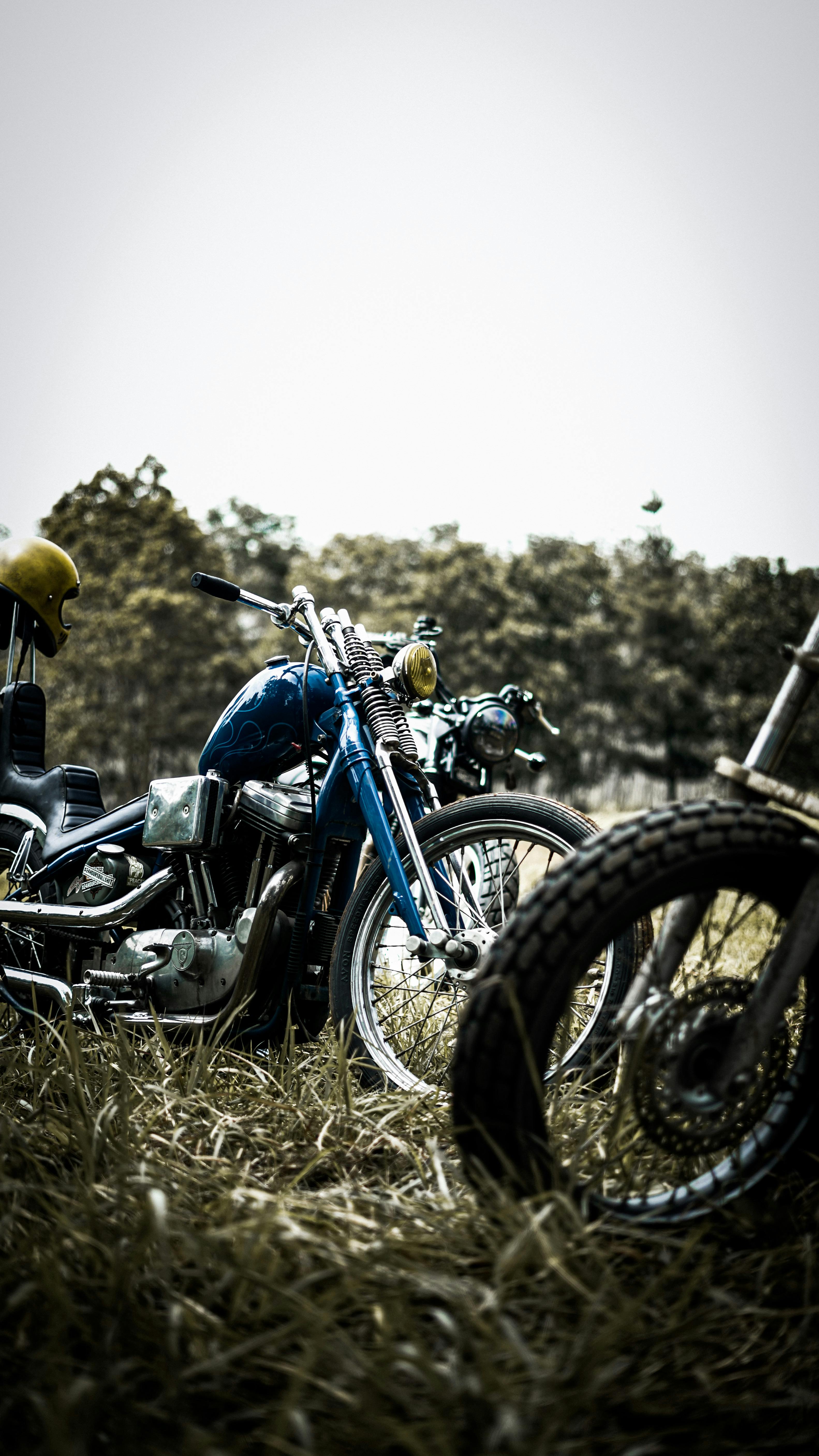 A Harley Davidson Motorbike on Grass · Free Stock Photo