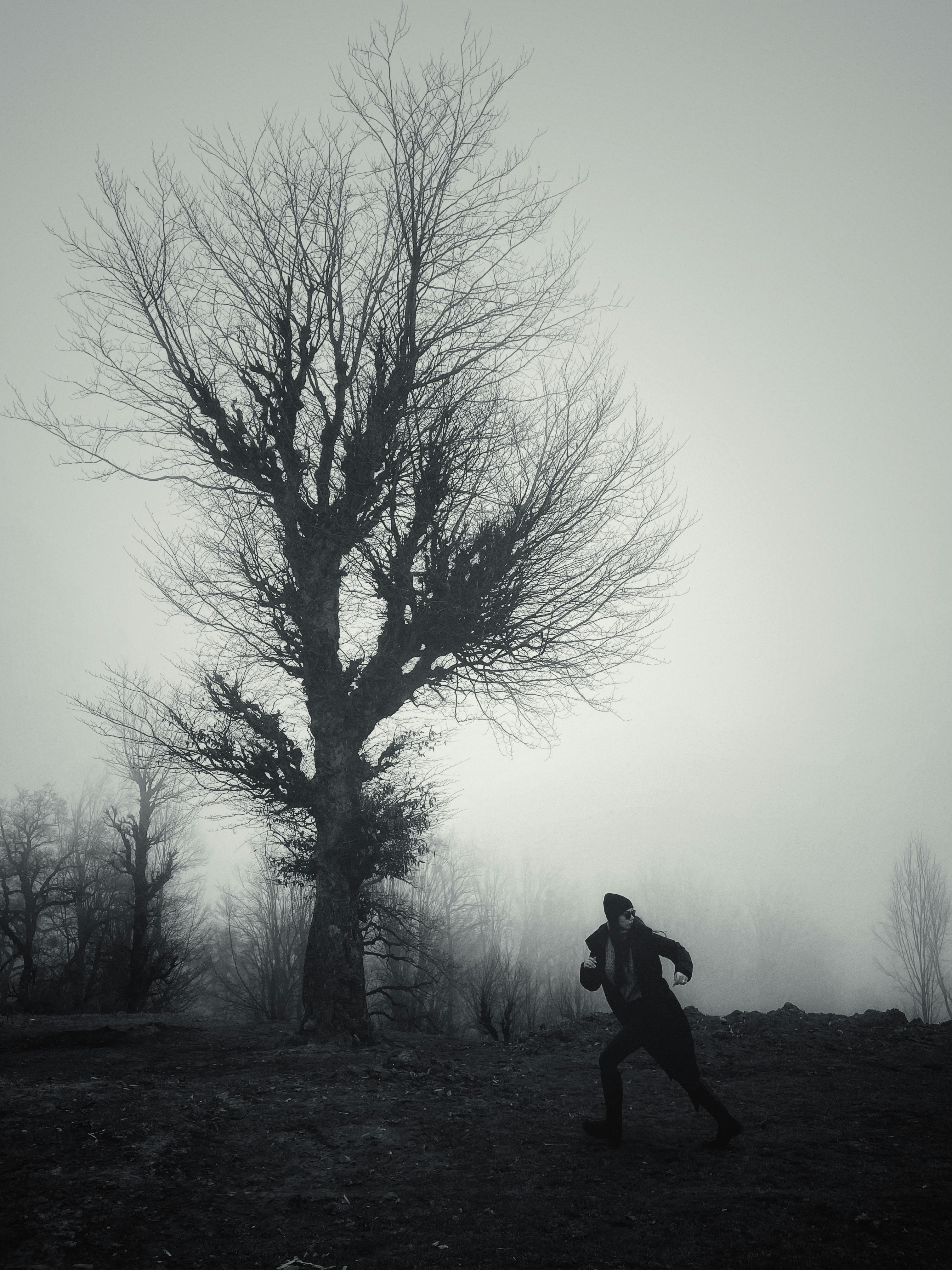 Black and White Photo of a Woman Running Next to a Spooky Tree · Free ...