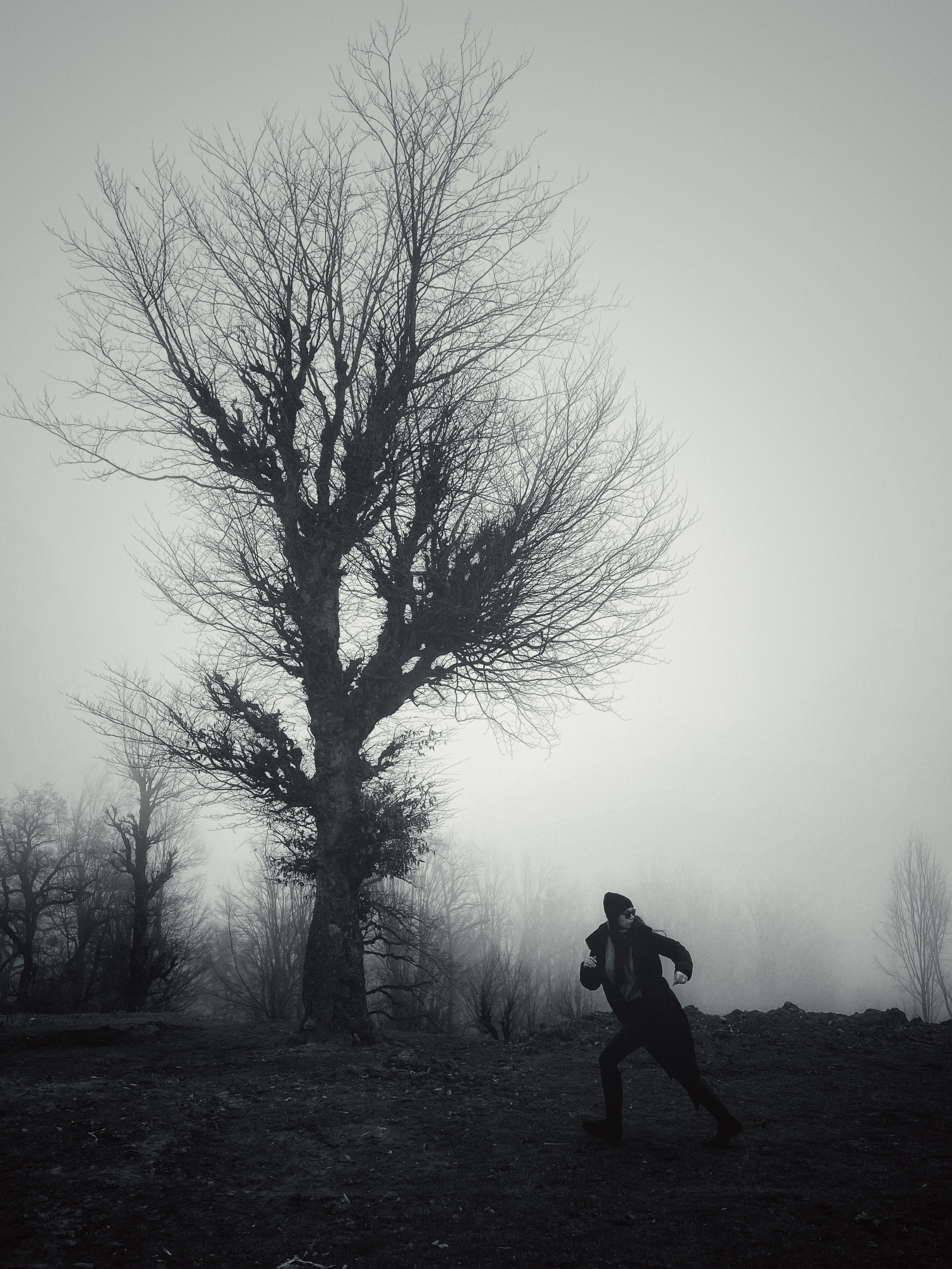 Black and White Photo of a Woman Running Next to a Spooky Tree · Free ...