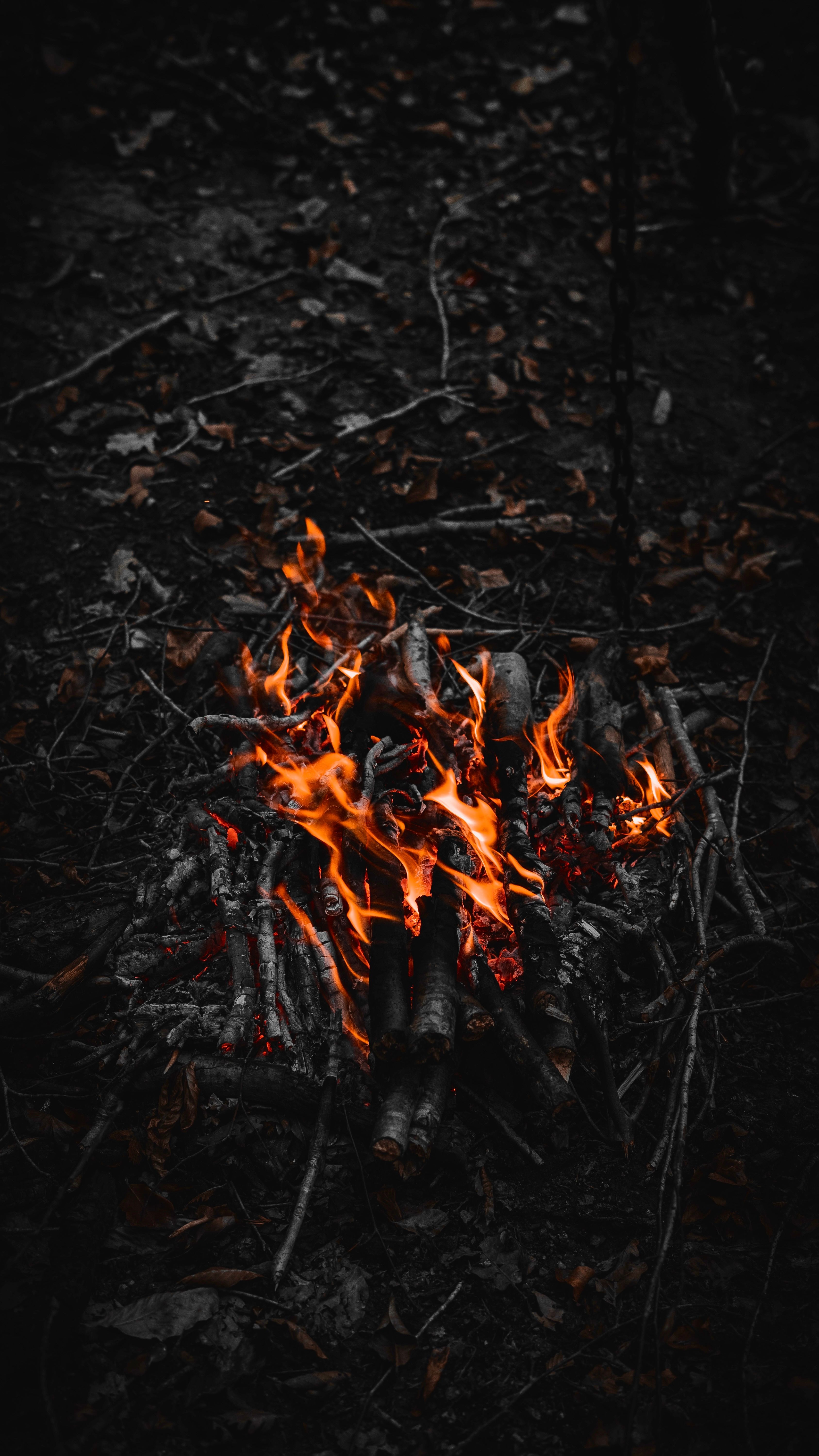 Forrest Fire Photos, Download The BEST Free Forrest Fire Stock Photos ...