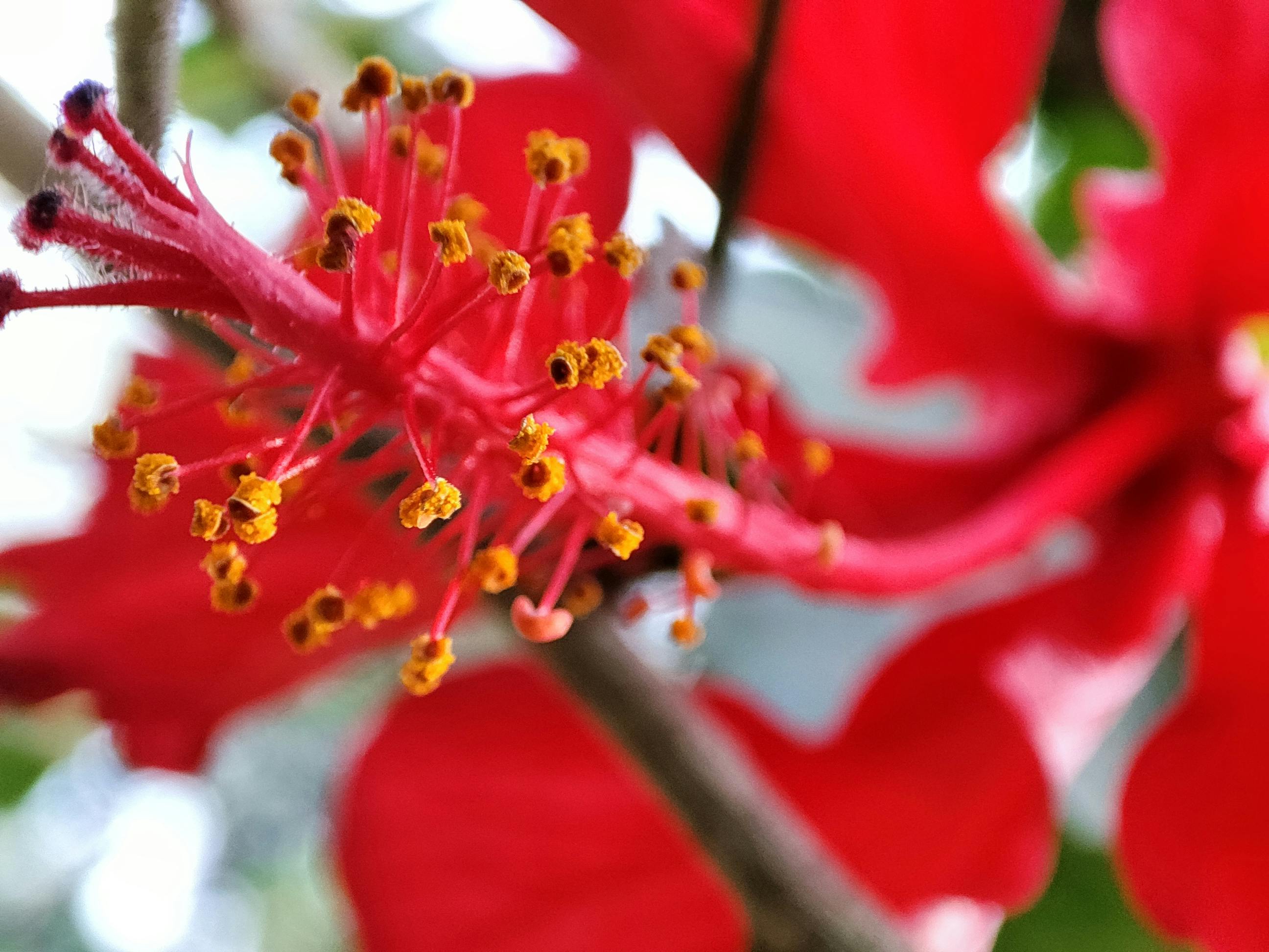 Rabbi Islam - Photography