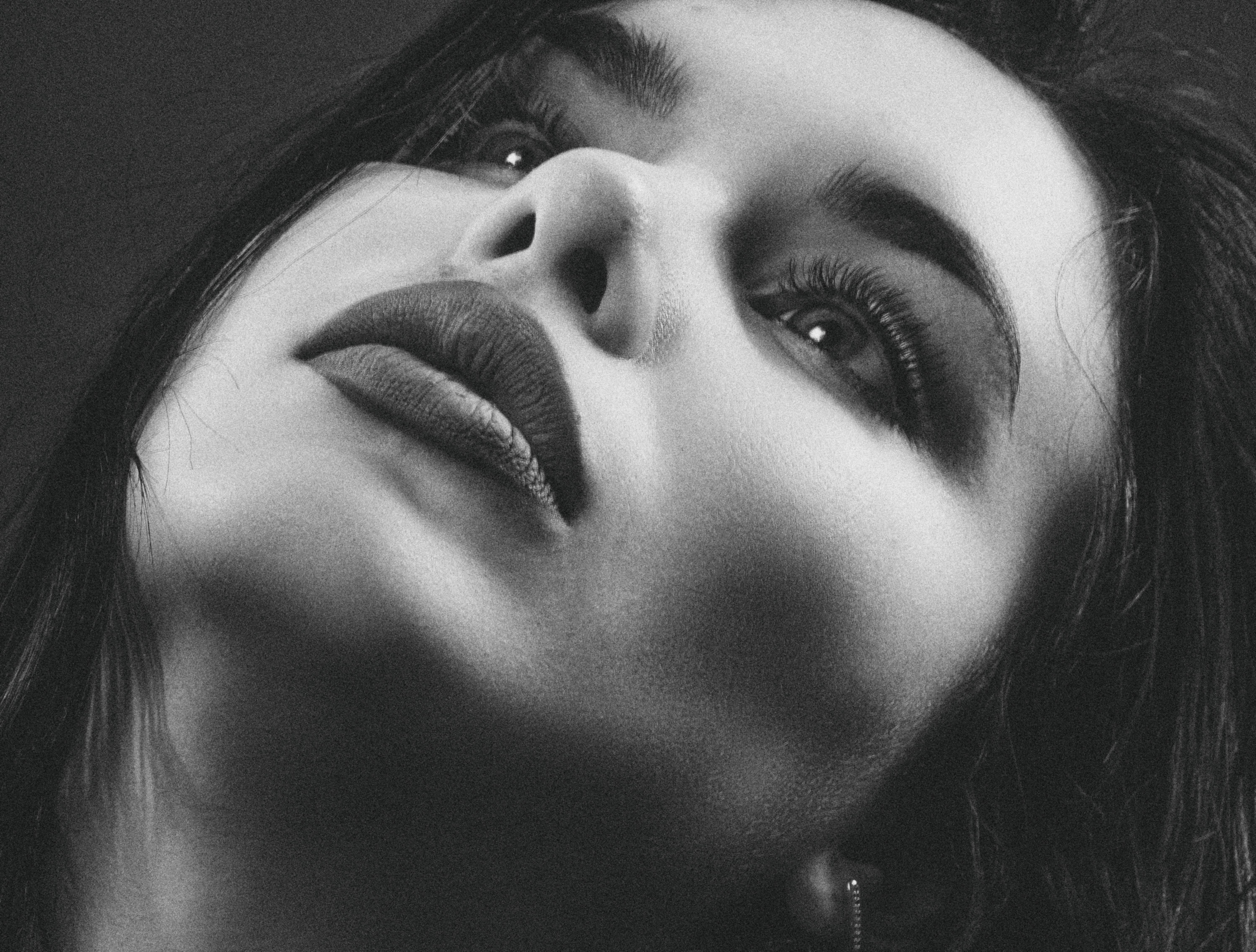 Portrait of a Beautiful Woman · Free Stock Photo