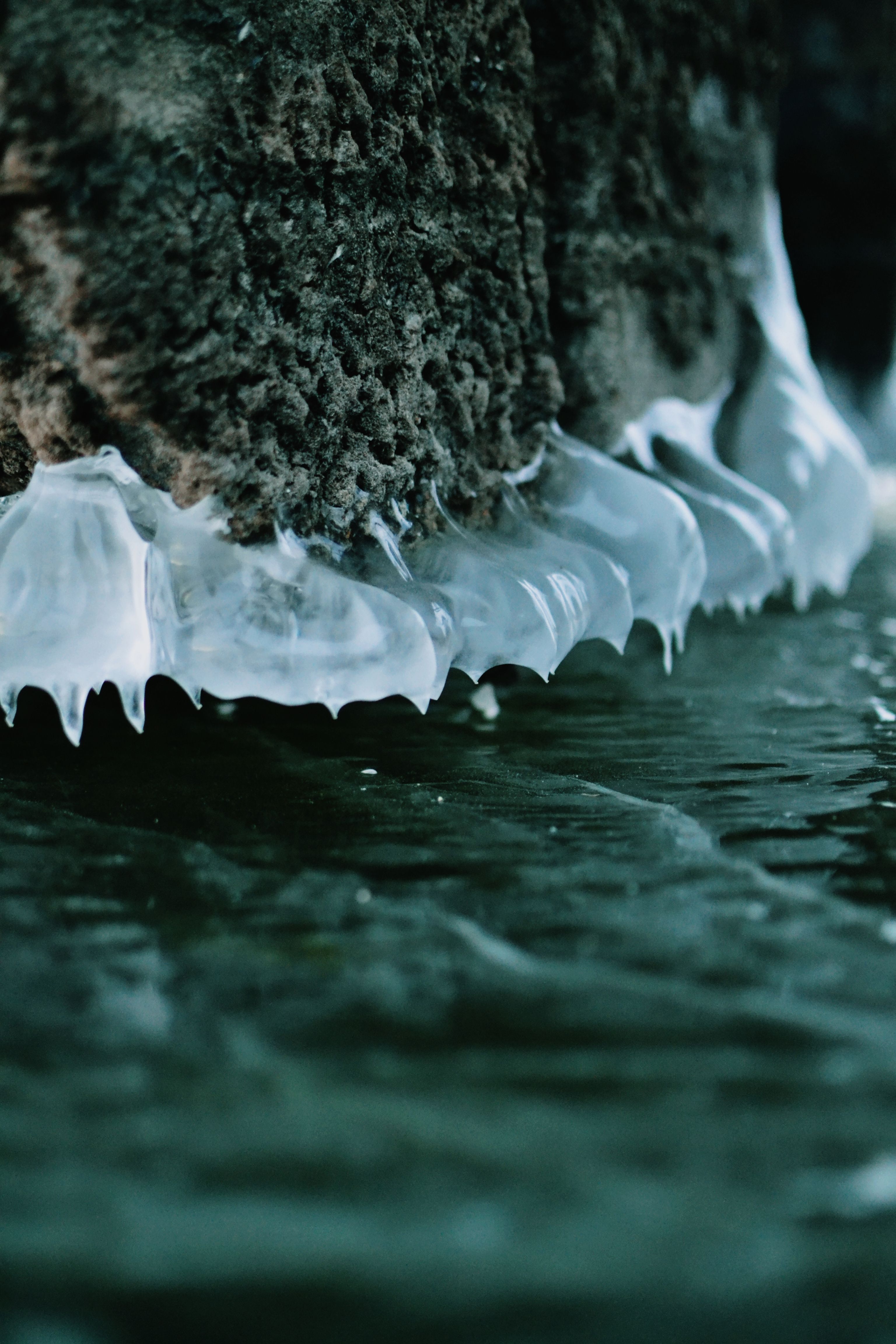 Close up of Ice · Free Stock Photo