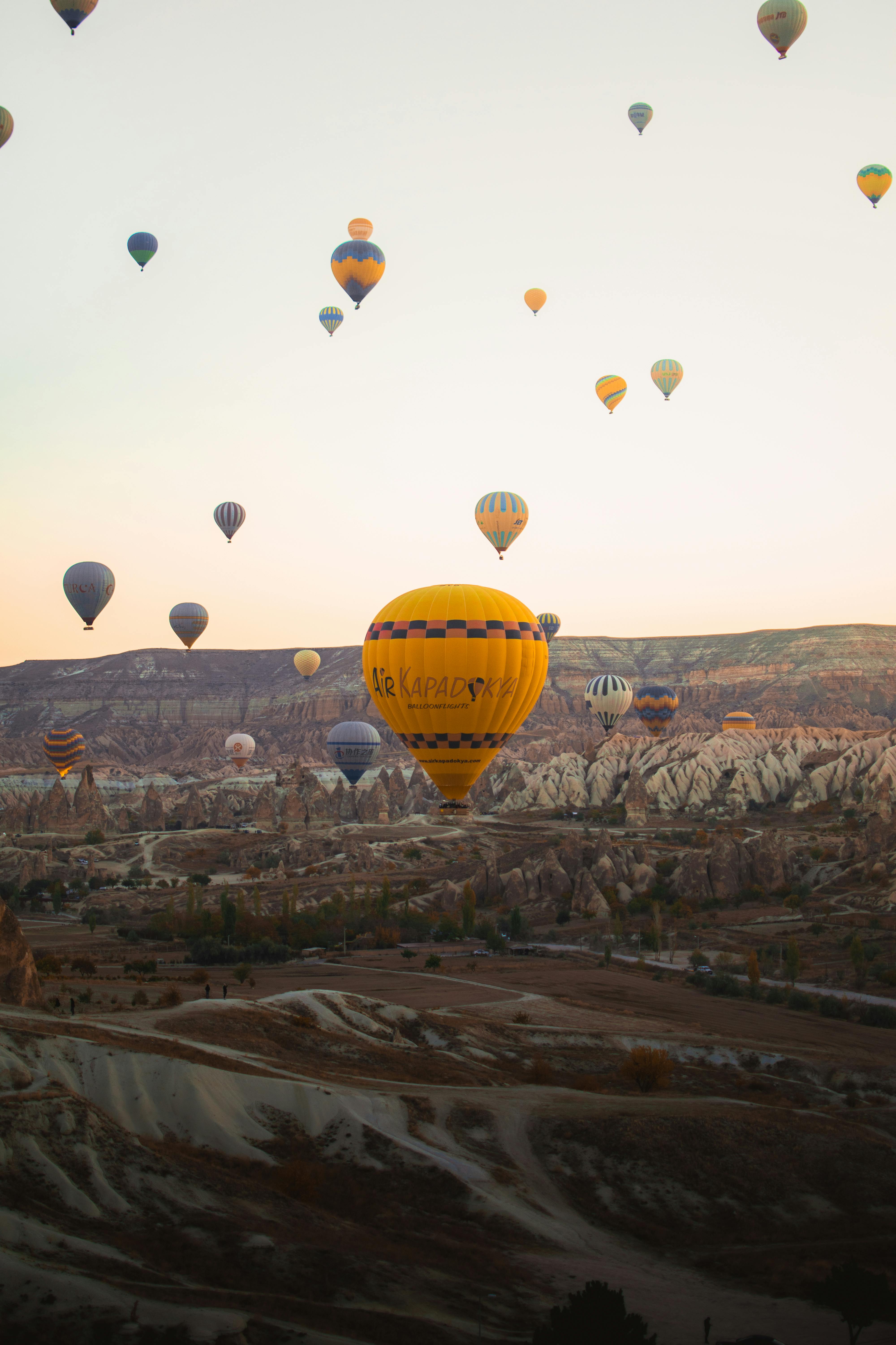 7,000+张最精彩的“Fairy Boxer”图片 · 100%免费下载 · Pexels素材图片