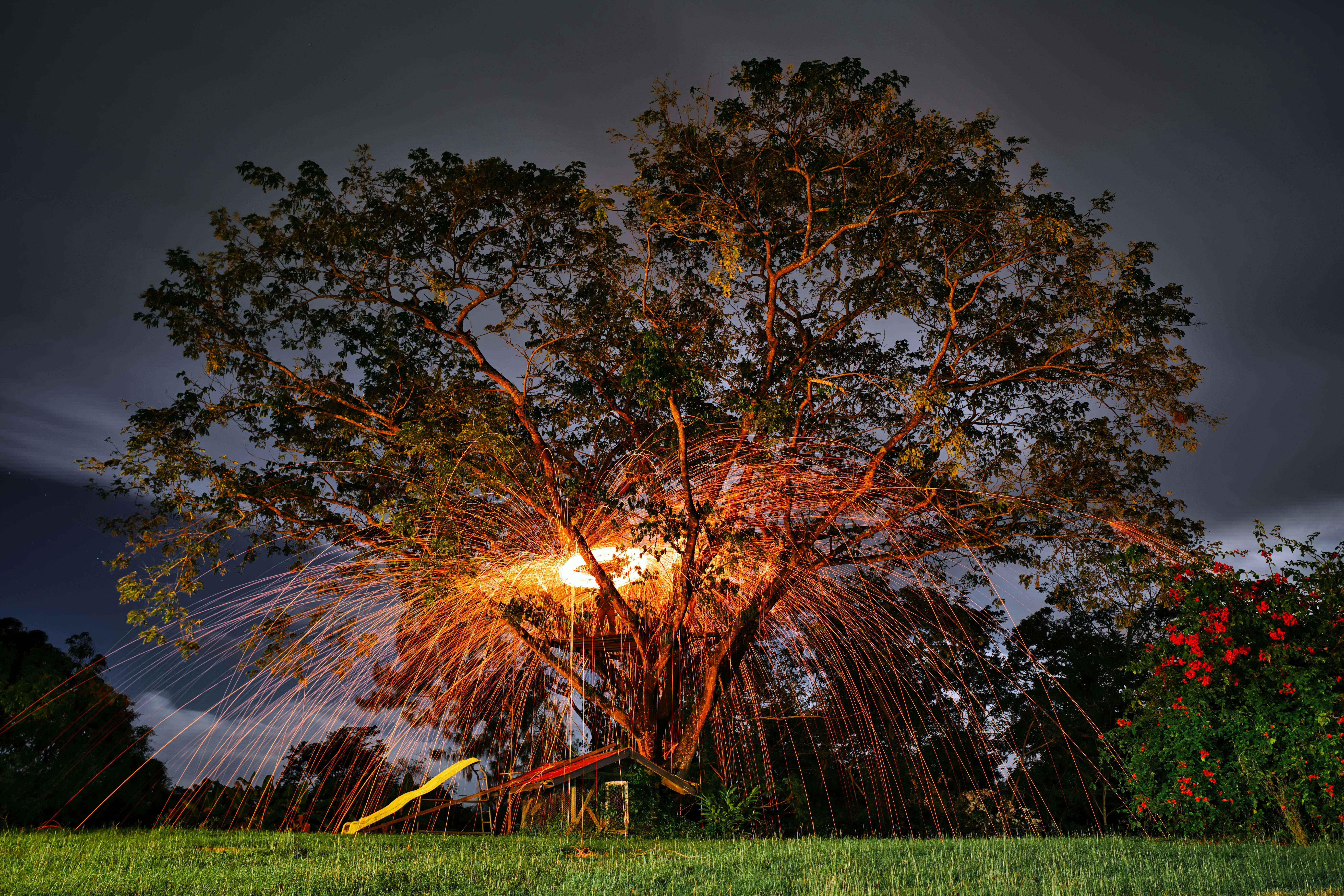 House under a Tree · Free Stock Photo