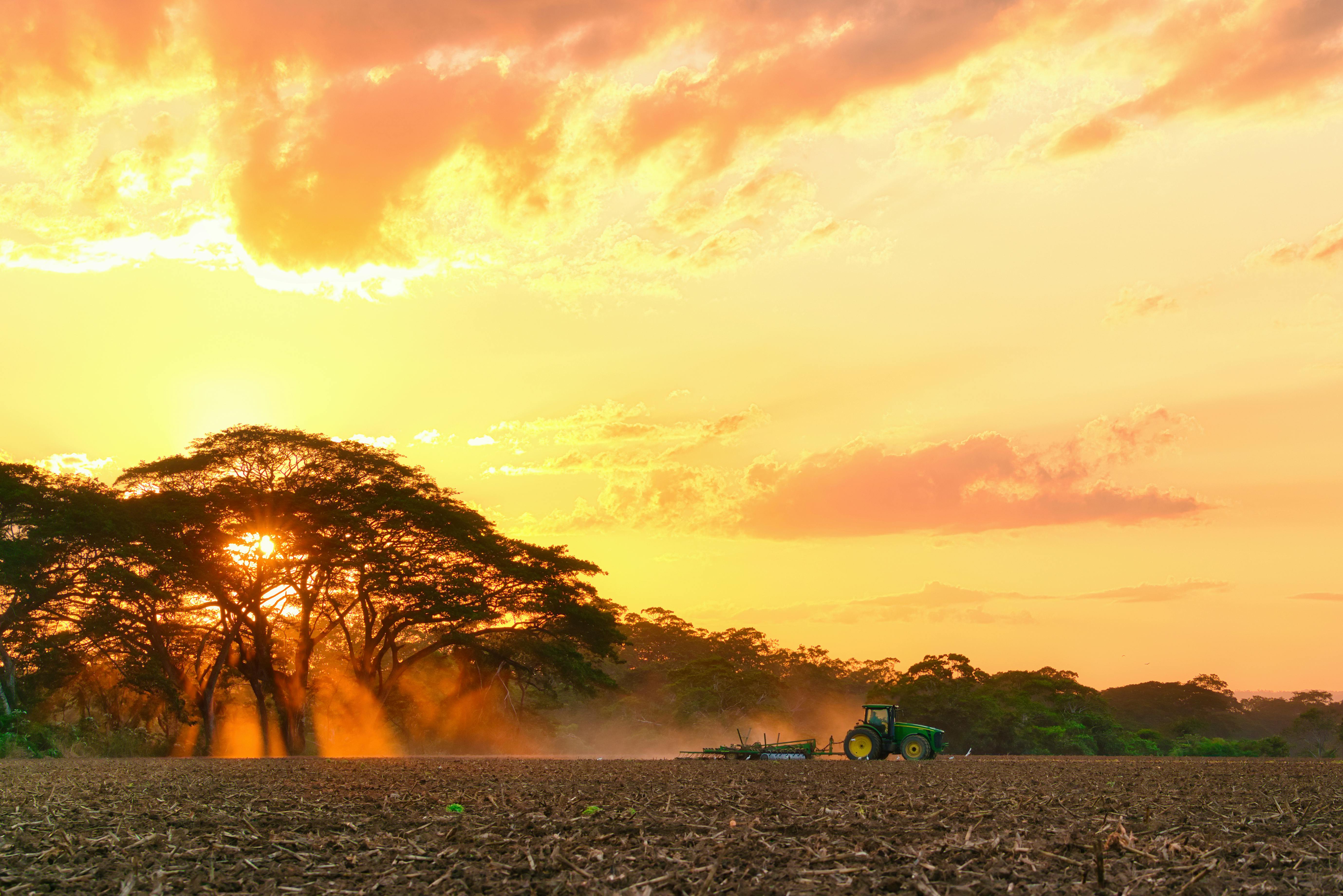 32k Wallpaper Gaming Wallpaper Photos, Download The BEST Free 32k ...