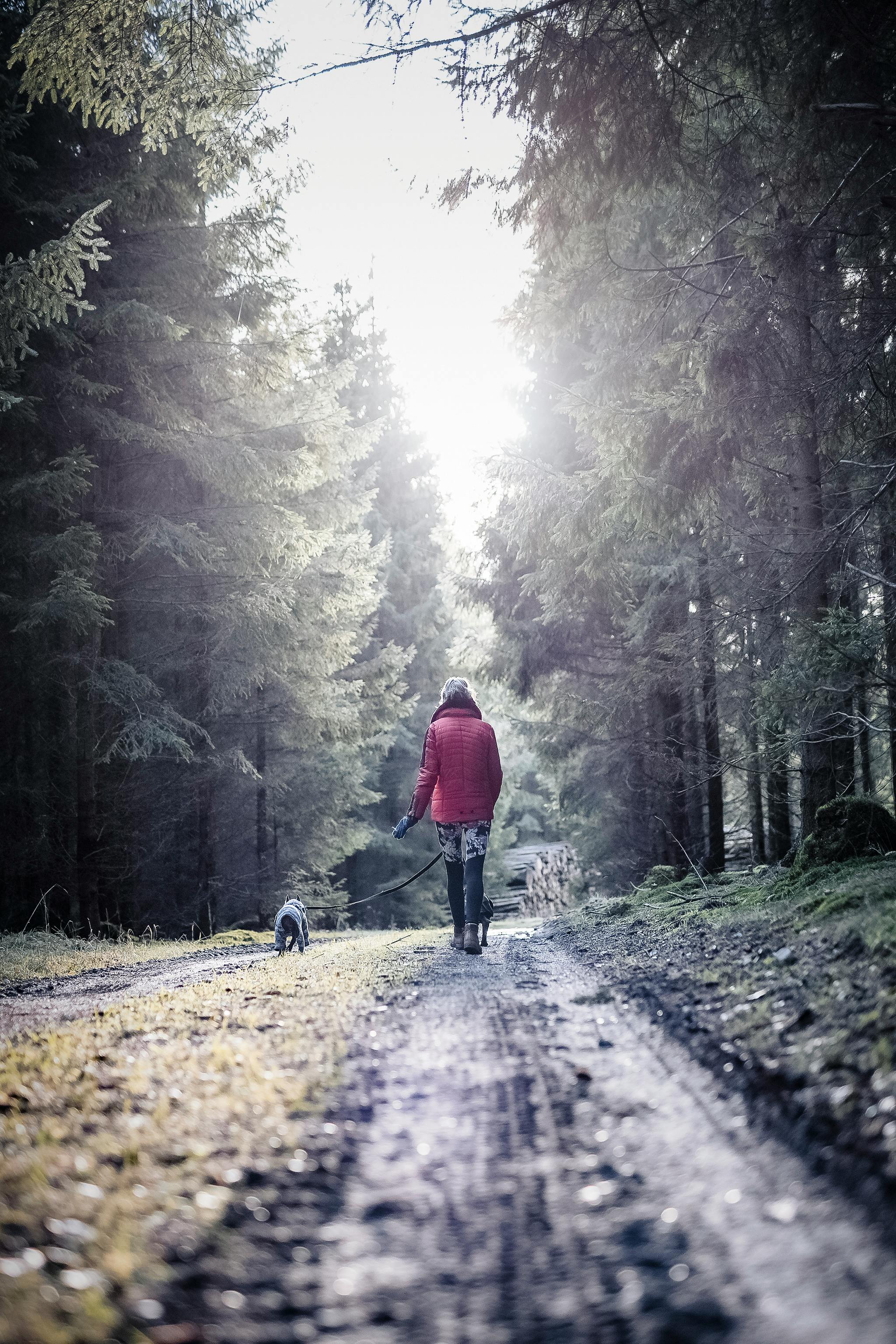 Martin Dalsgaard - Photography