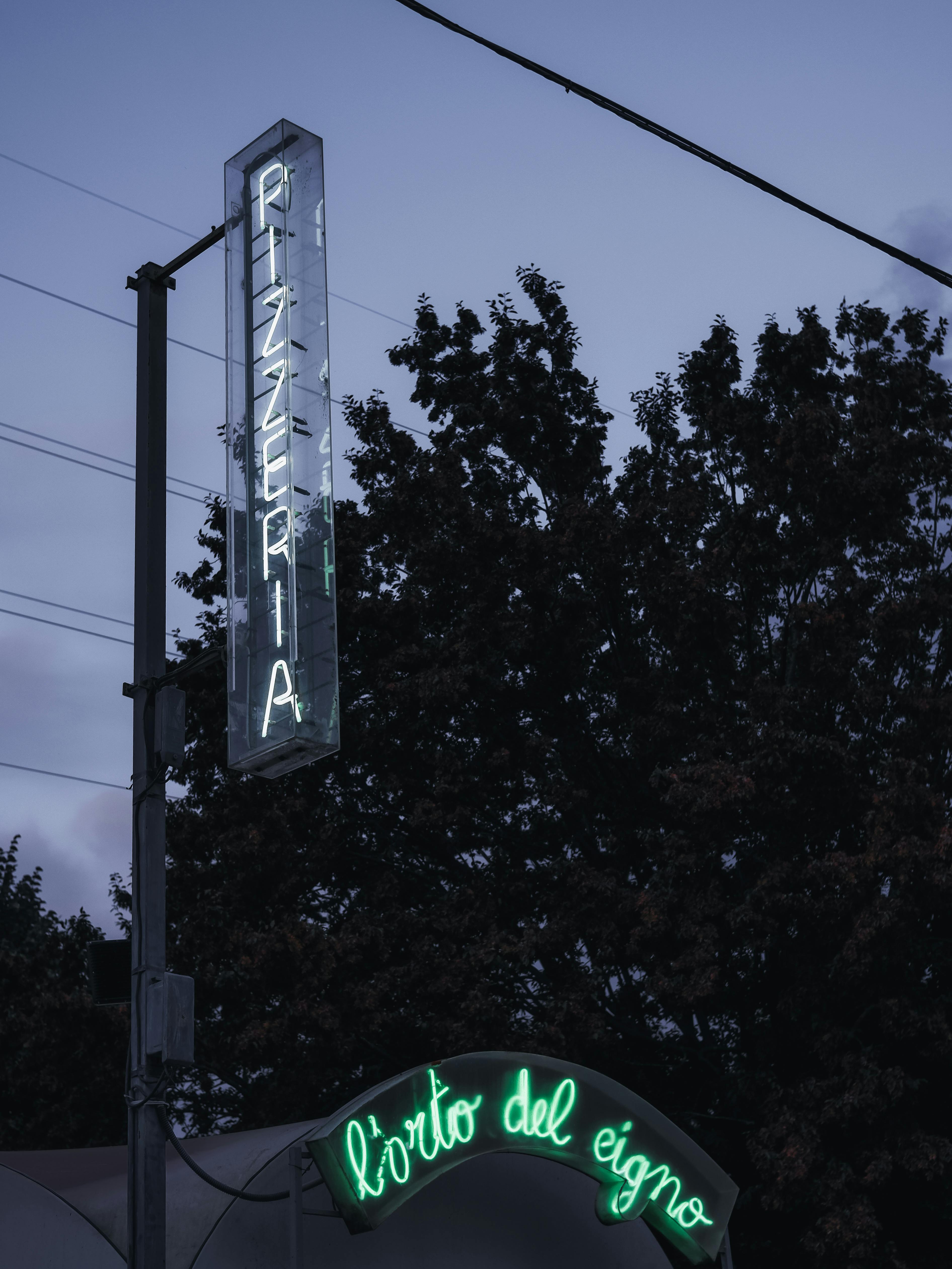 Moritz - Photography