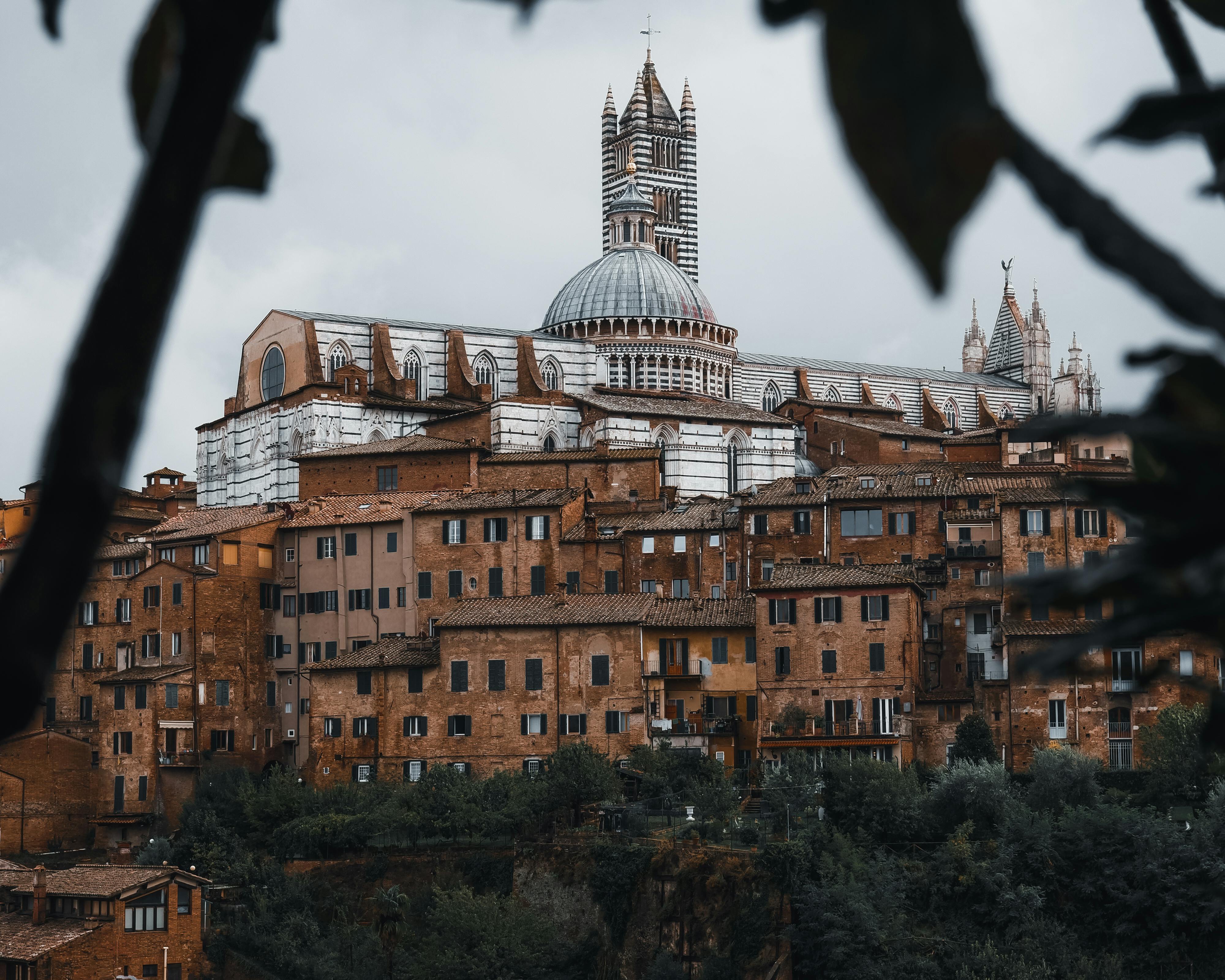 Siena Cathedral Tower over Buildings · Free Stock Photo
