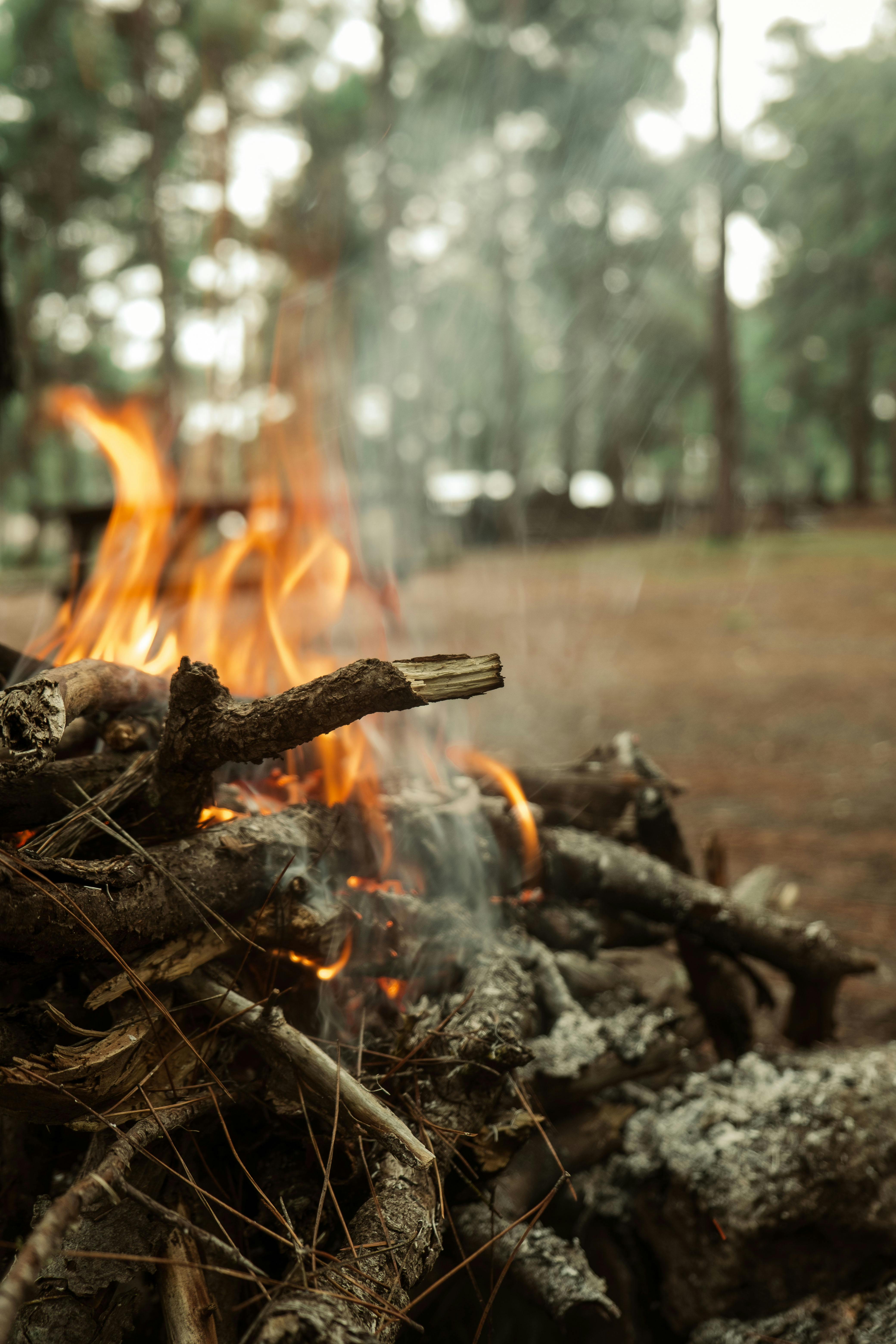 Brown Wood Burning · Free Stock Photo