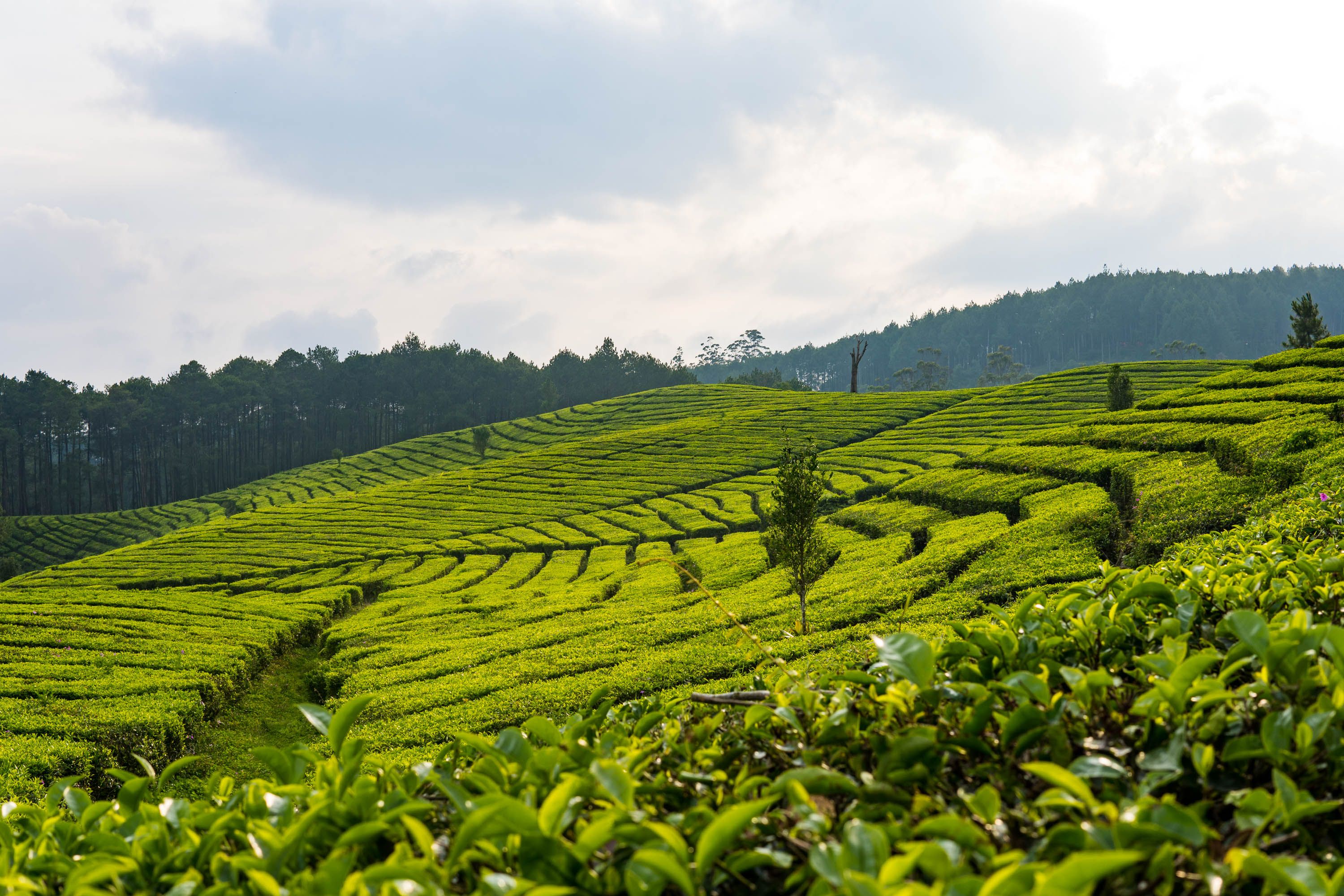 Walpaper Lanscape Photos, Download The BEST Free Walpaper Lanscape ...