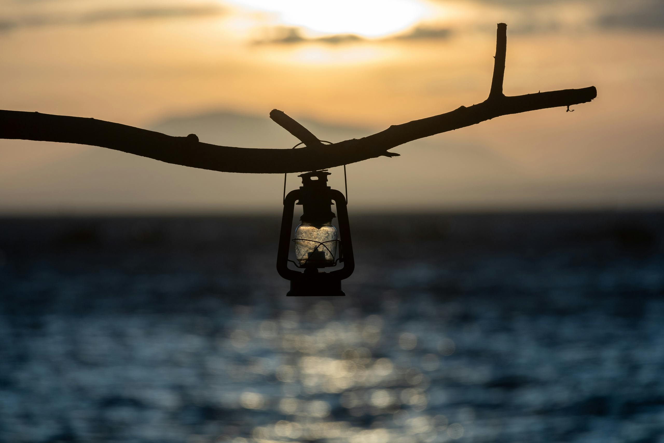 Sea Lanterns Photos, Download The BEST Free Sea Lanterns Stock Photos ...