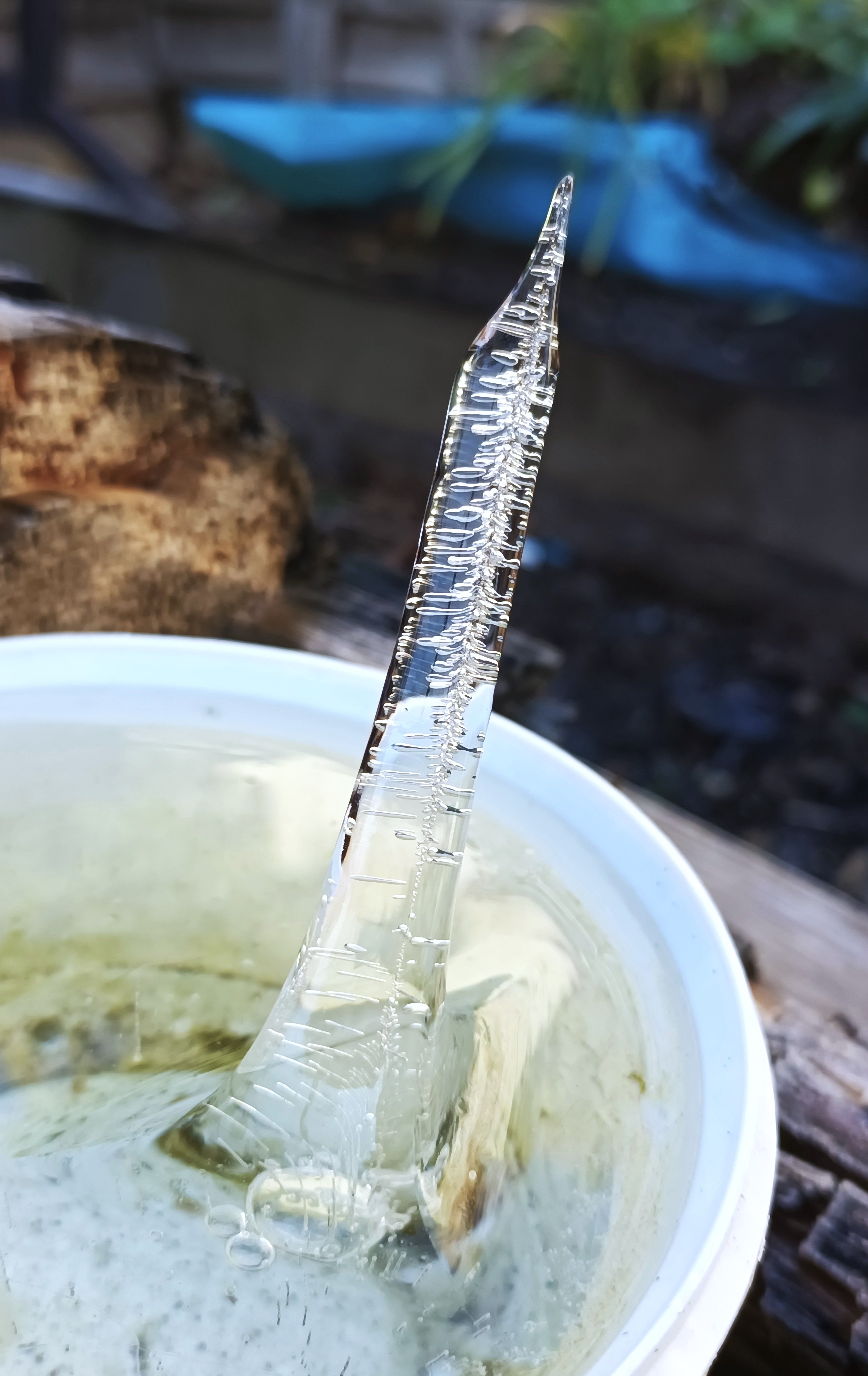 Ice-spike rare phenomenon 18 Photos & Videos Collected by Patrick Nizan