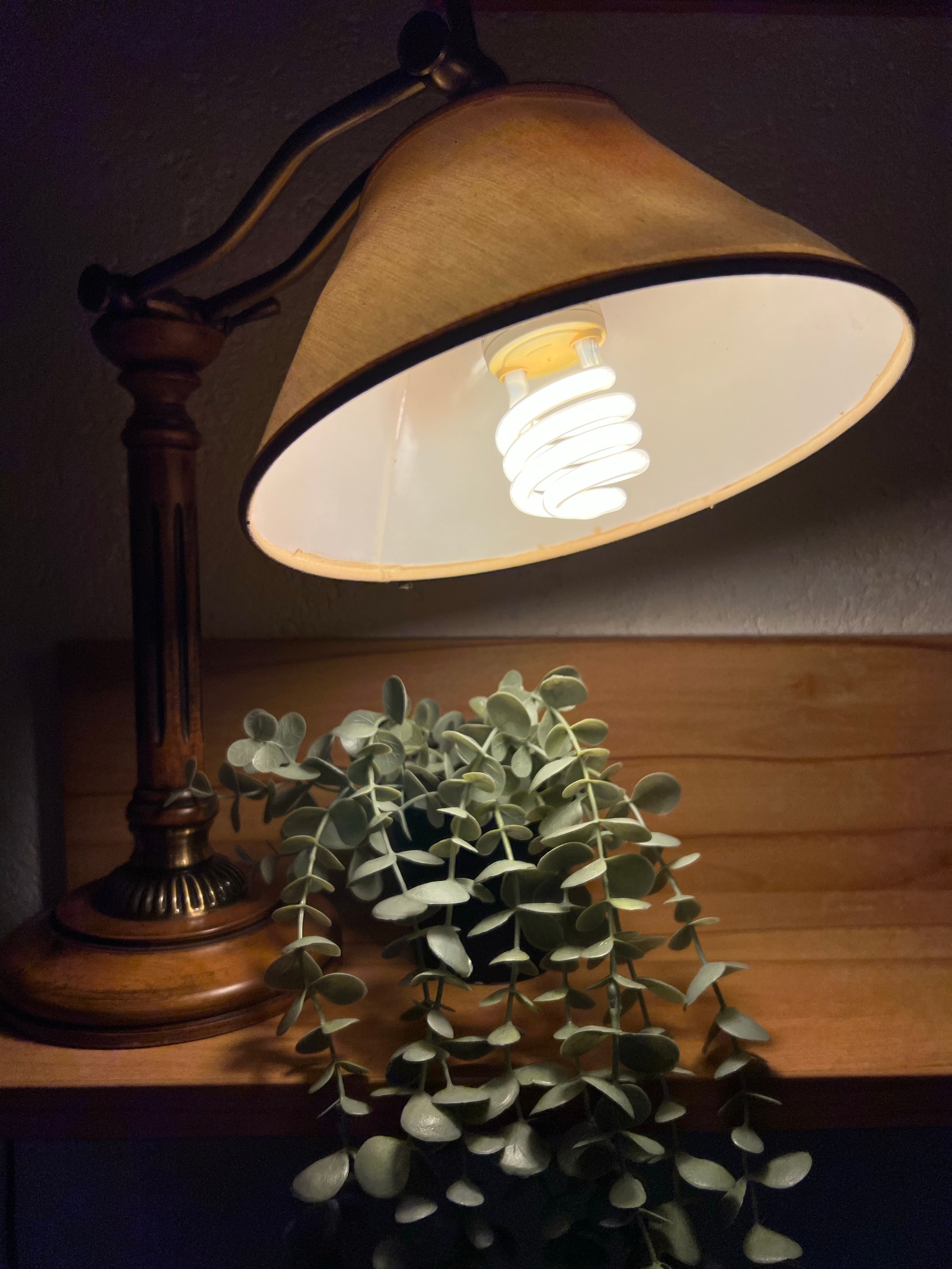 Desk Lamp and Plant on Wooden Shelf · Free Stock Photo