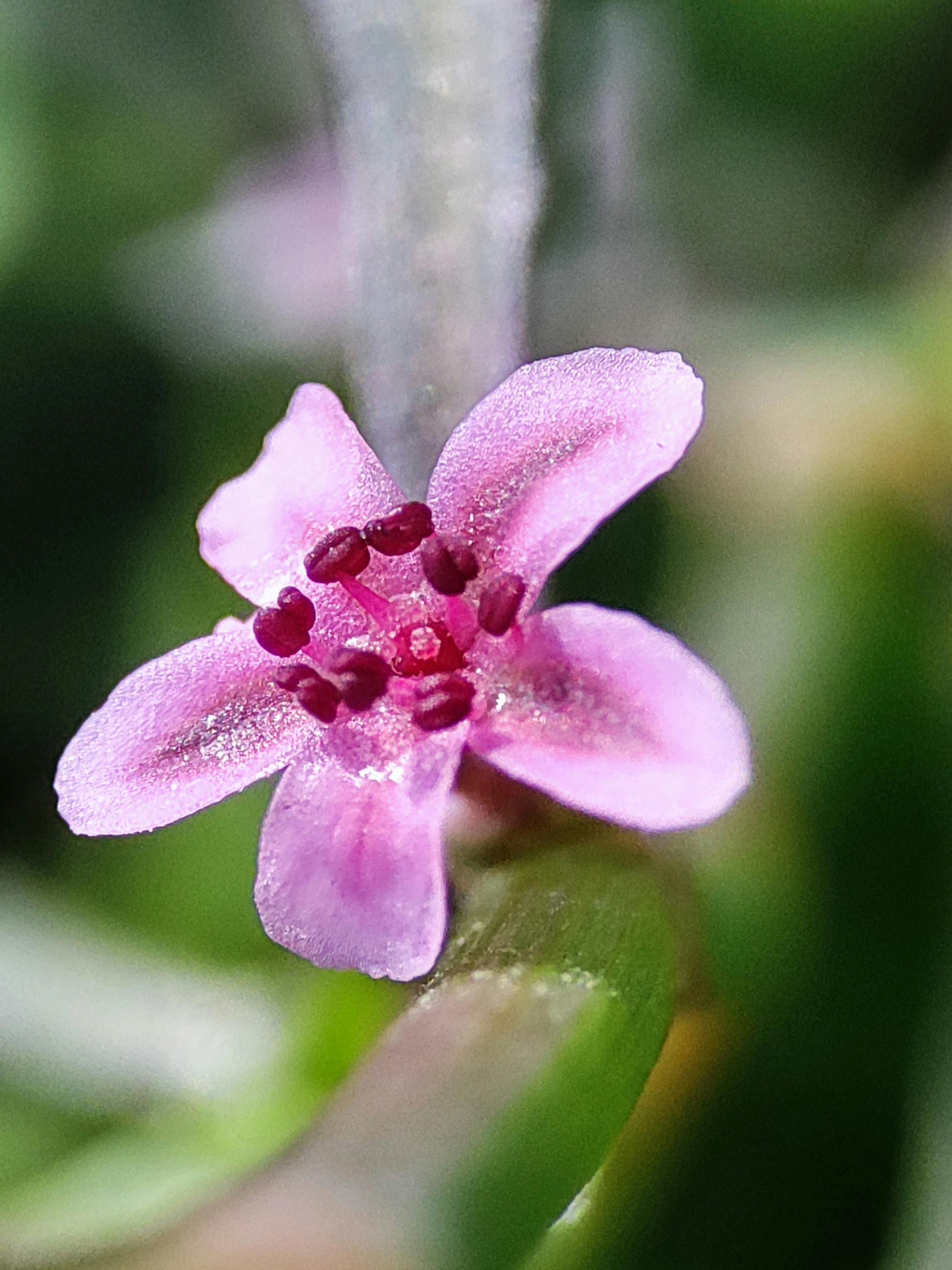 Rabbi Islam - Photography