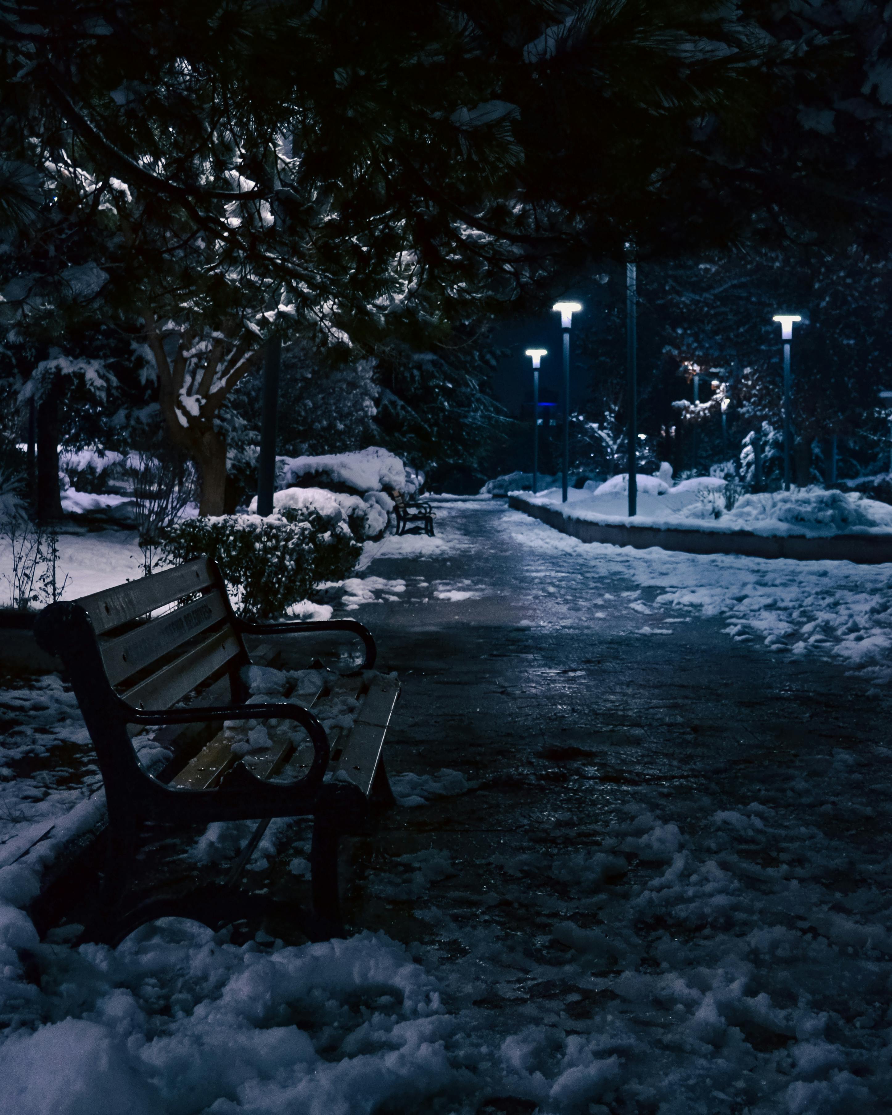 Ice and Snow around Bench in Park at Night · Free Stock Photo