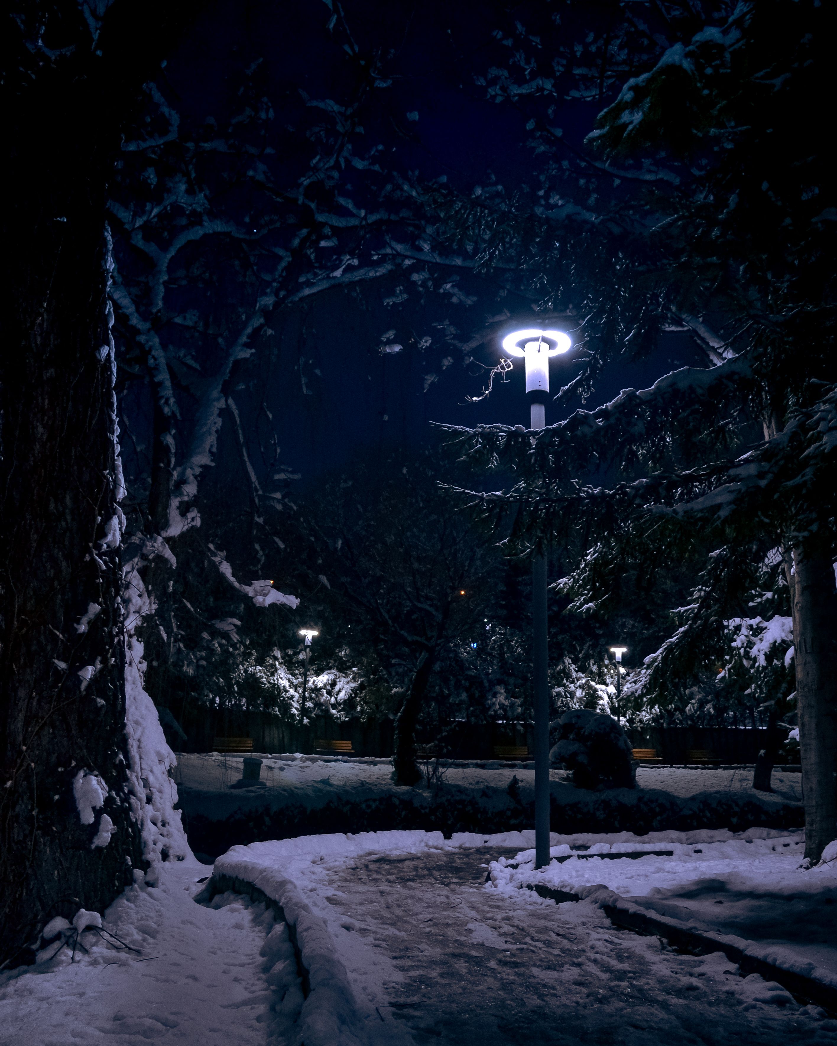 String Lights Covered by Snow · Free Stock Photo