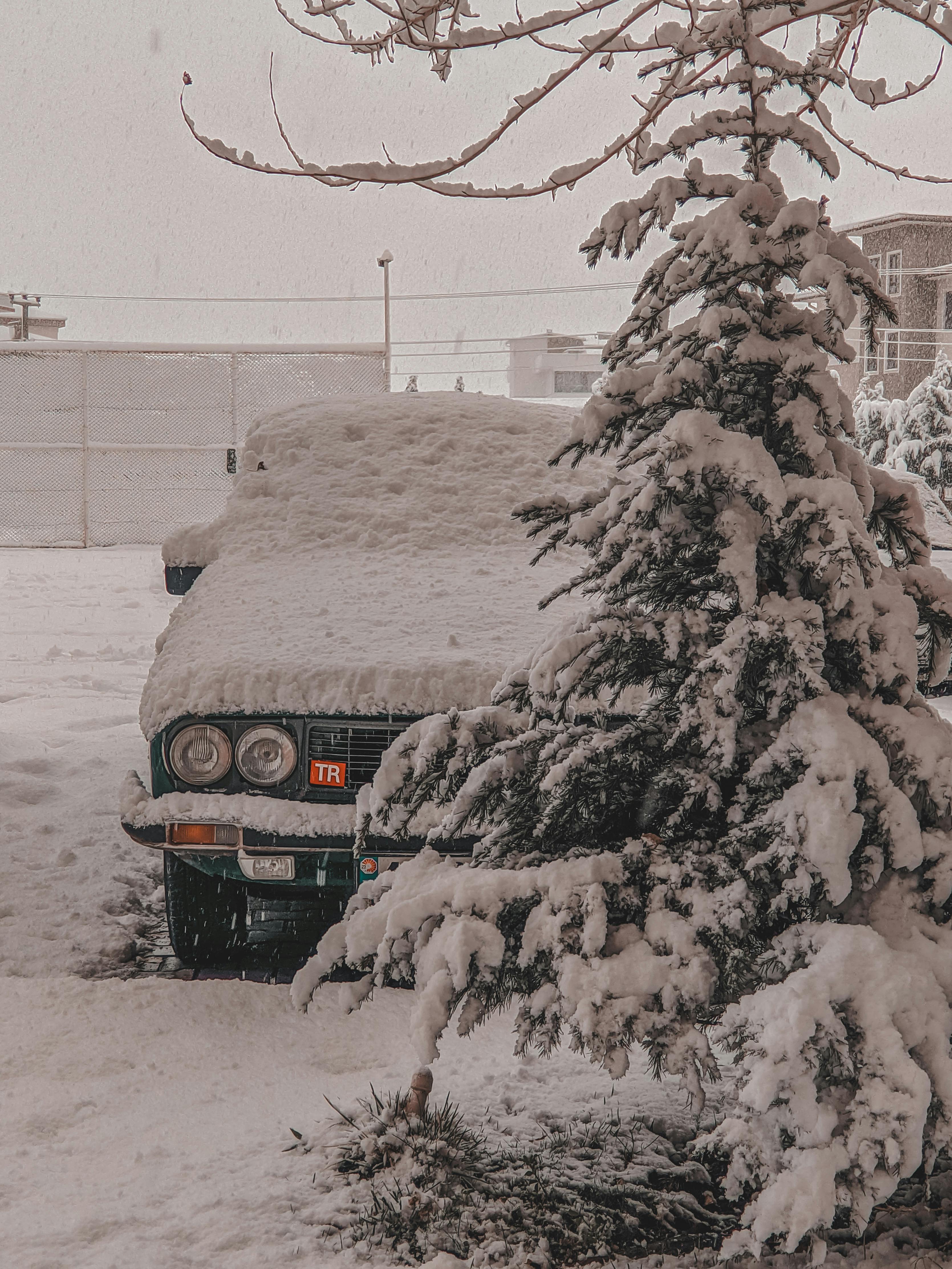 Tree and Car in Snow · Free Stock Photo