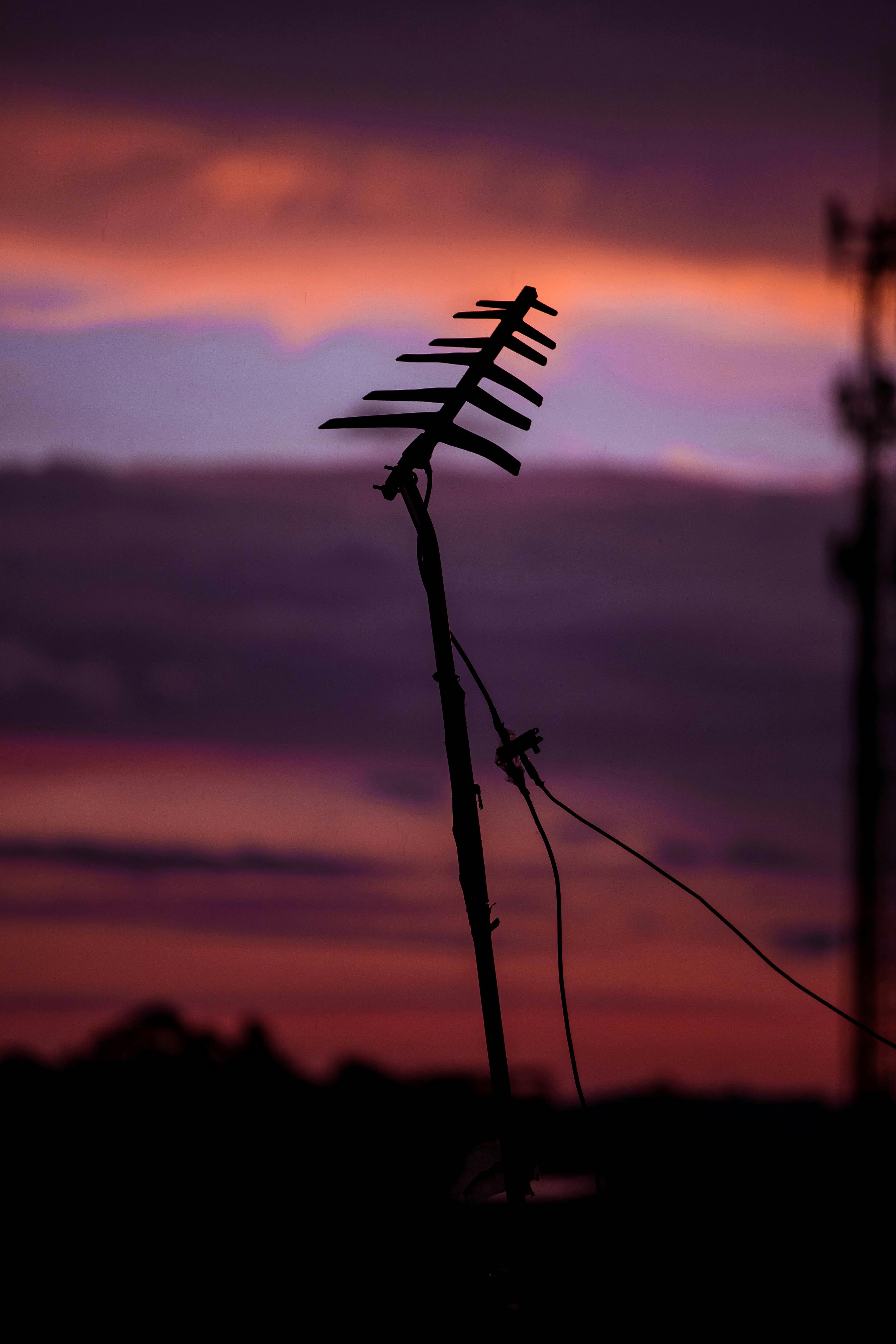 Lightning Rod at Dusk · Free Stock Photo