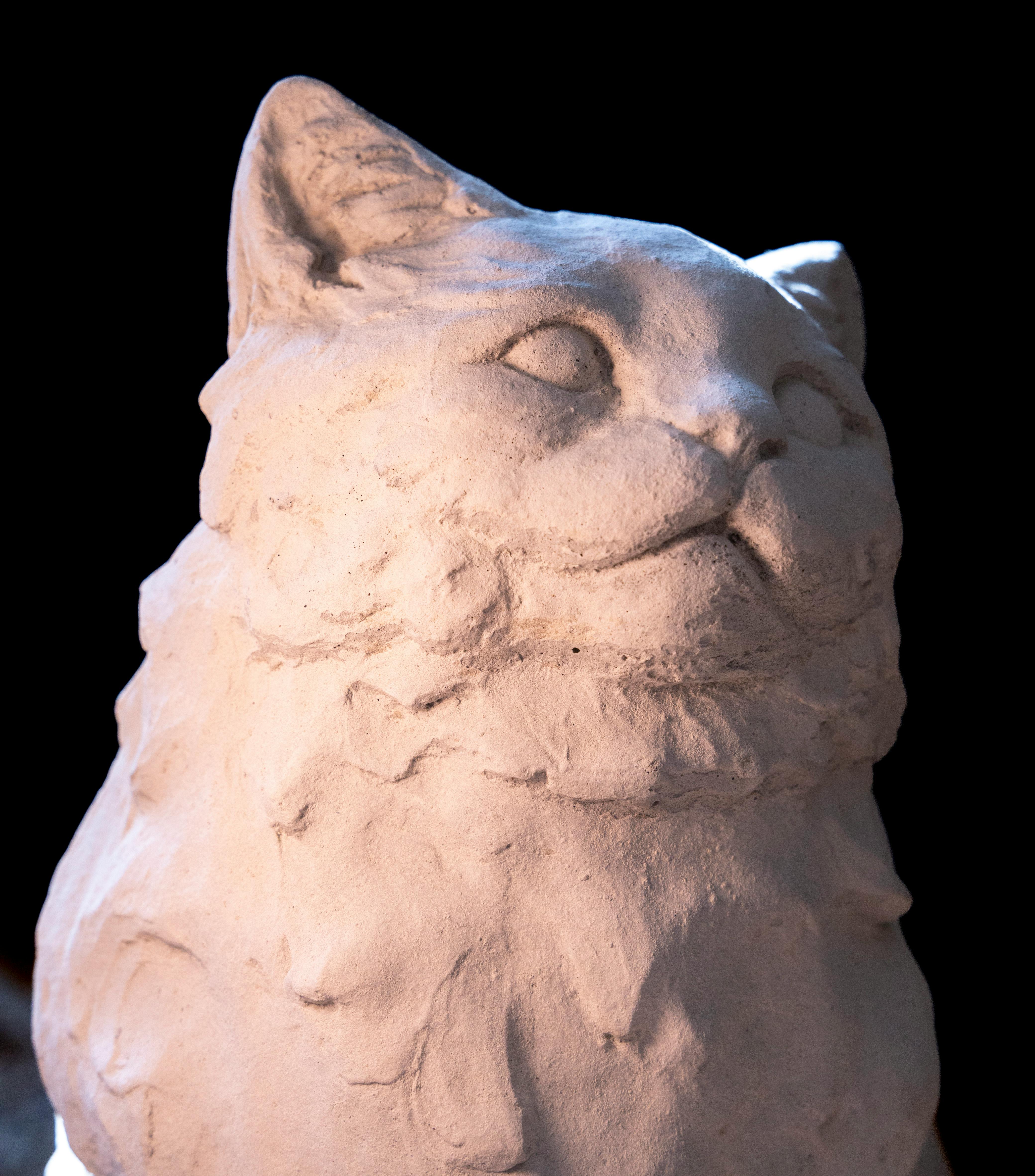 White Backgrounds Photos, Download The BEST Free White Backgrounds ...