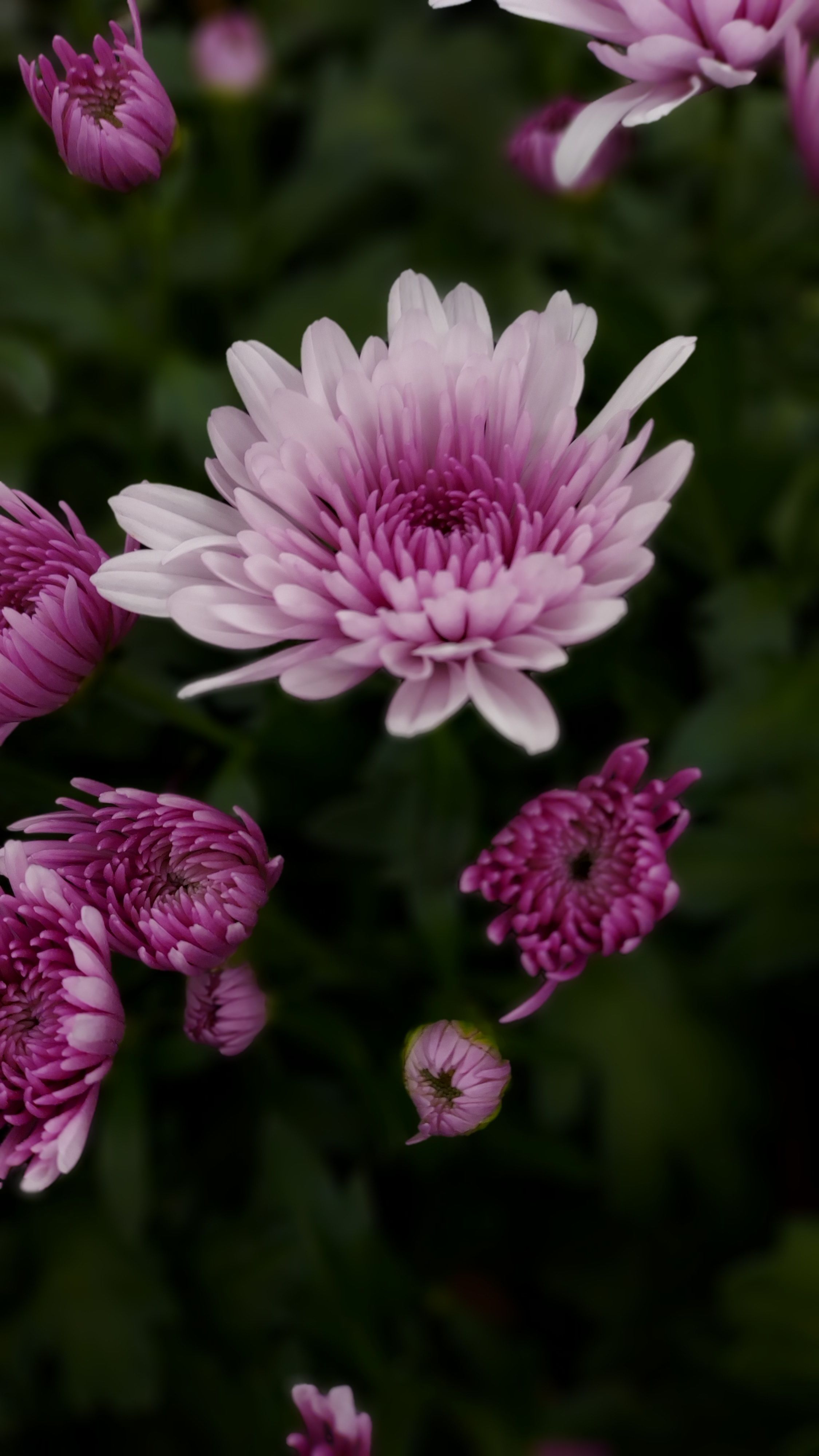 lubava Bel - Photography