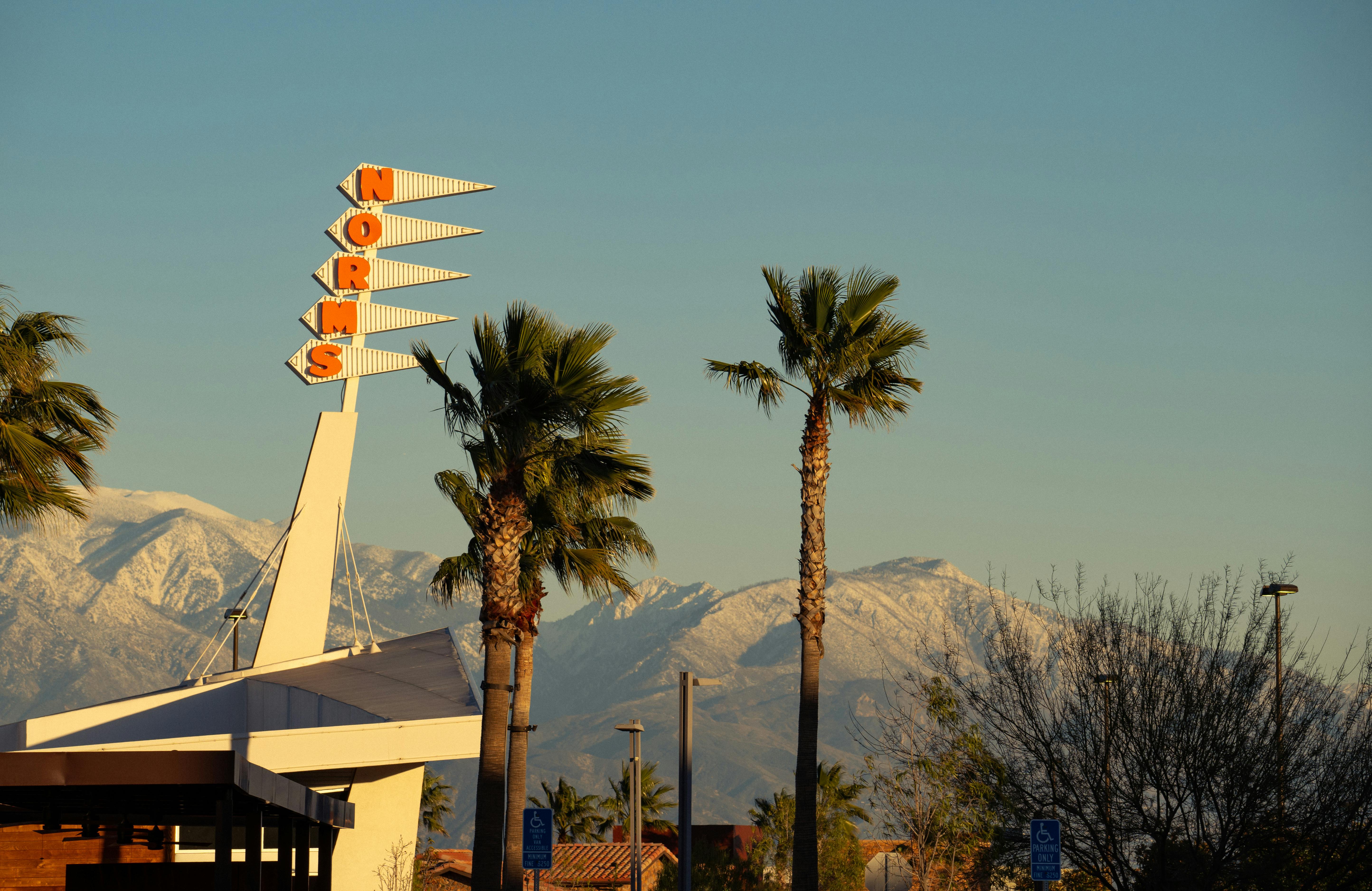 Restaurant Sign among Palm Trees · Free Stock Photo