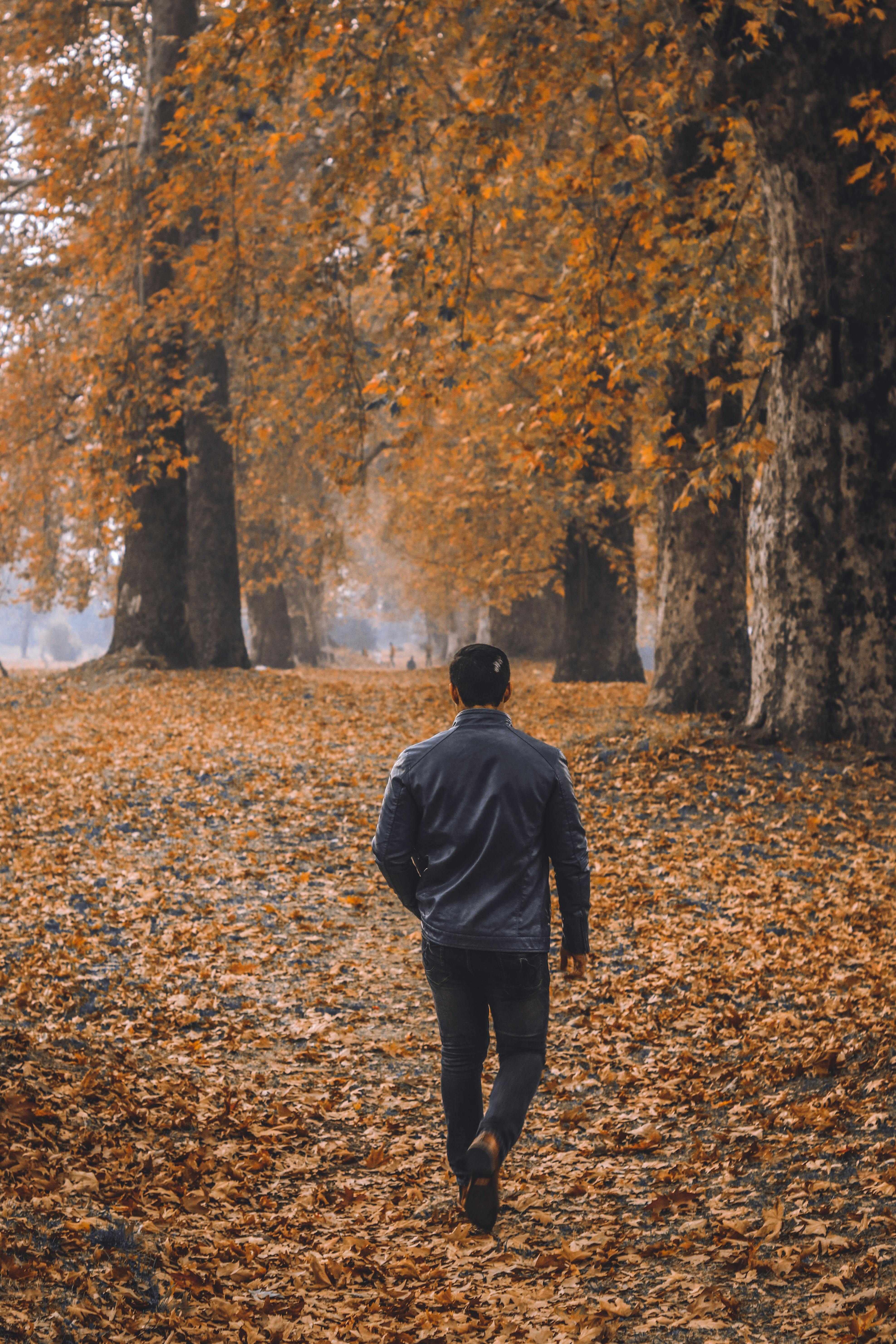 Man Walking on Autumn Path · Free Stock Photo