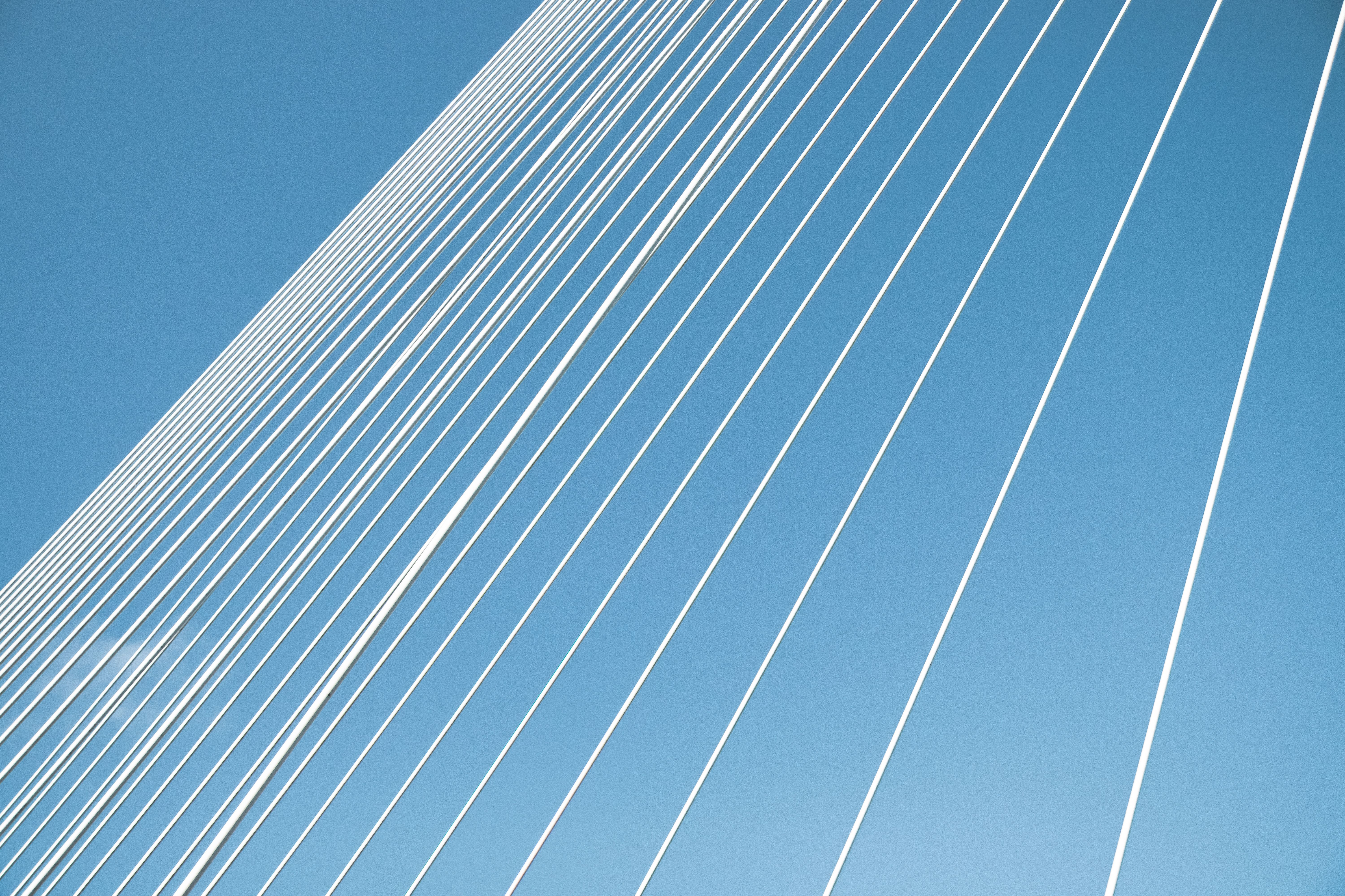 Bridge White Cables · Free Stock Photo