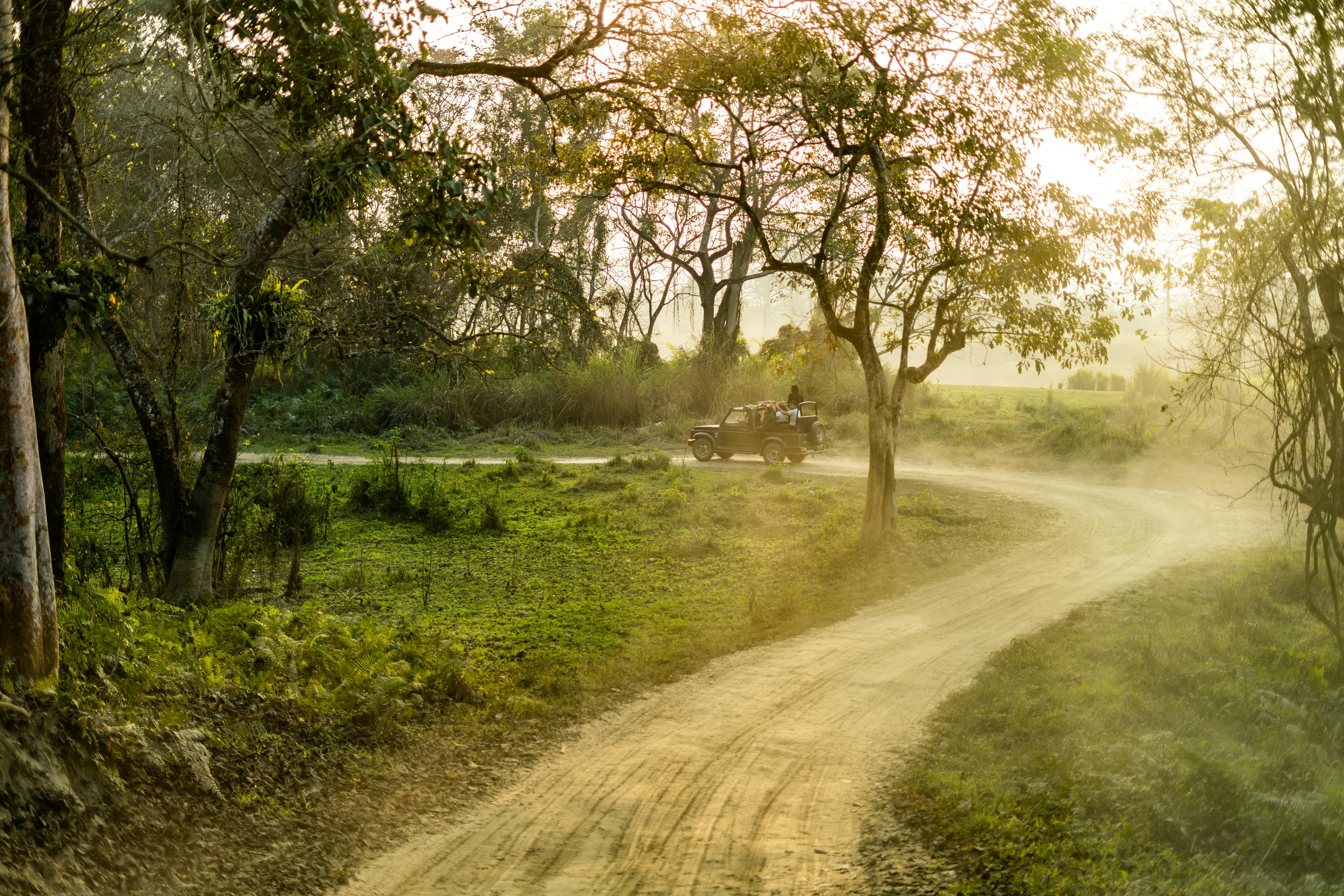 Dirt Road · Free Stock Photo