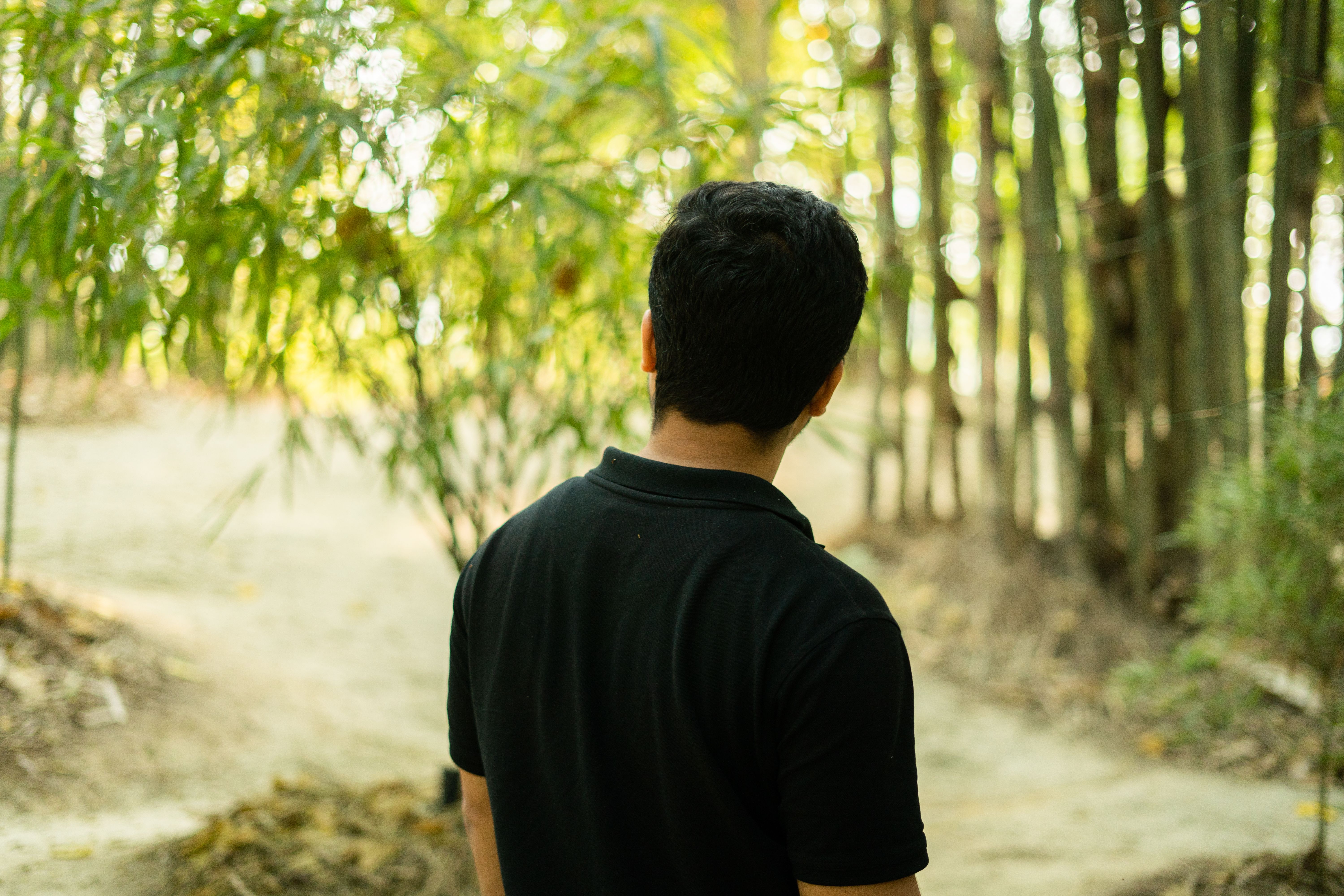 Photo Of Person Standing In Between Trees · Free Stock Photo