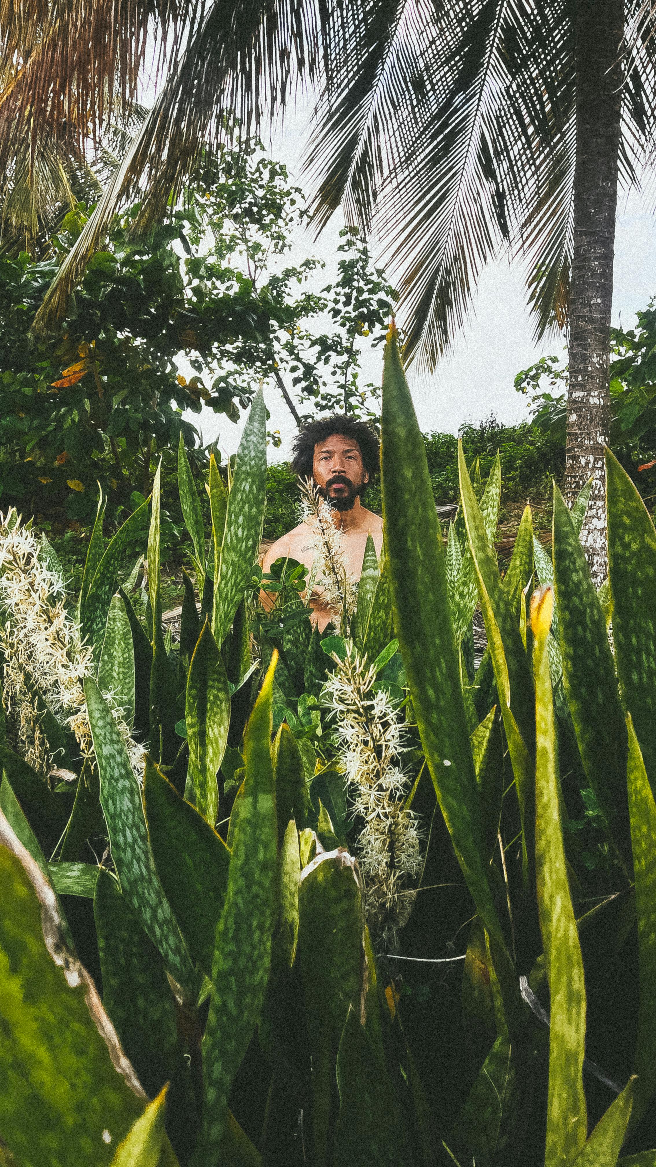 Man Standing among Plants · Free Stock Photo