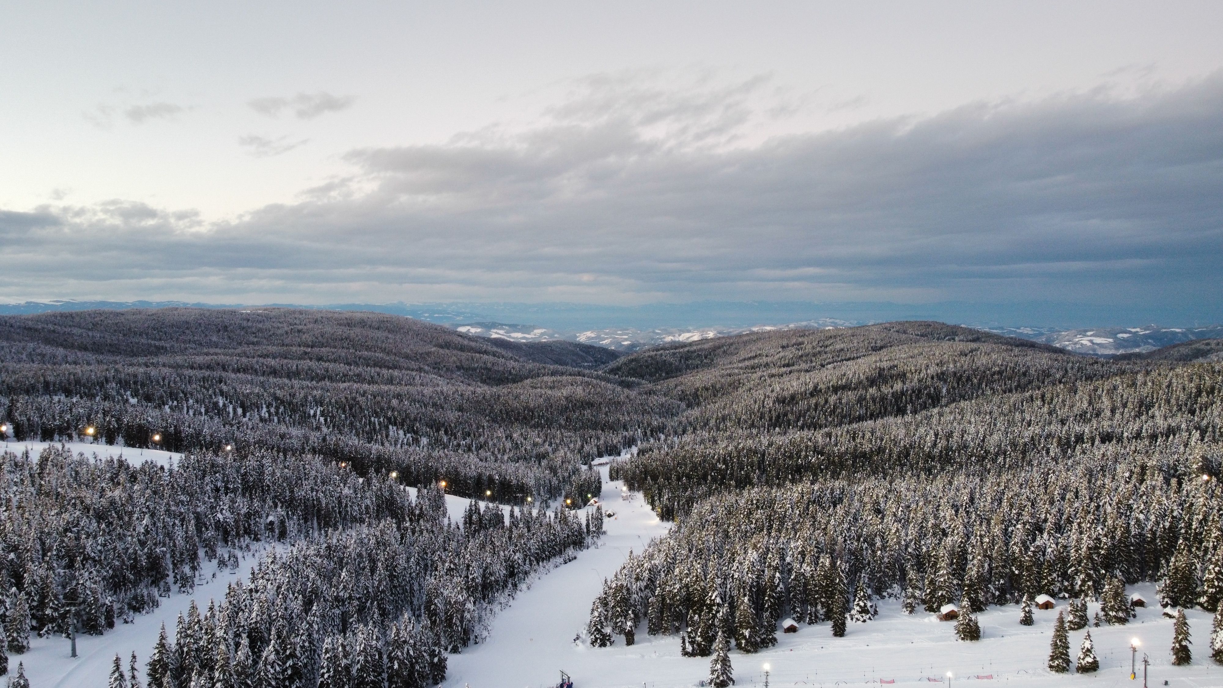 Snow Laden Trees Photos, Download The BEST Free Snow Laden Trees Stock ...