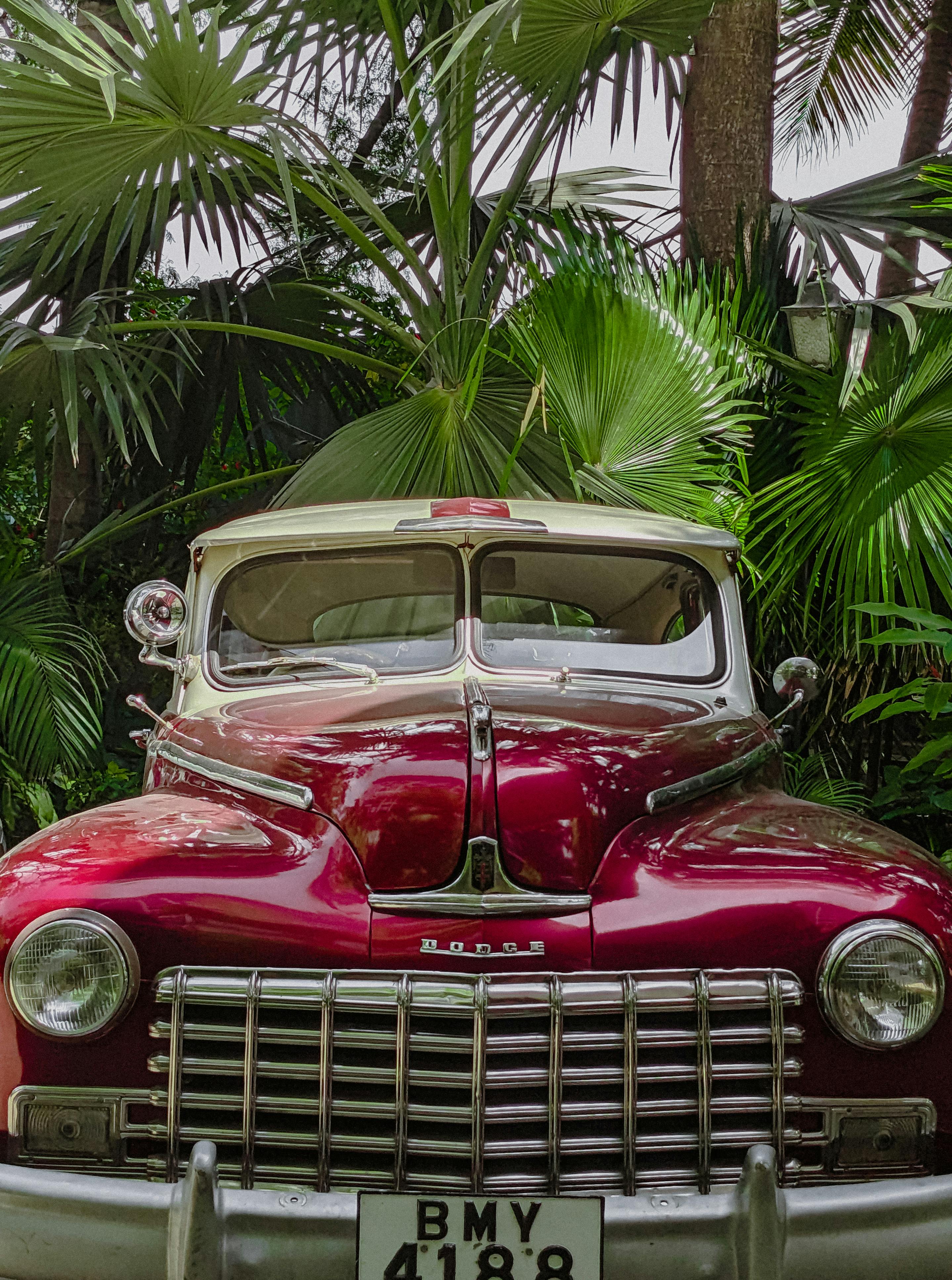 Dodge Car Wallpaper Photos, Download The BEST Free Dodge Car Wallpaper ...