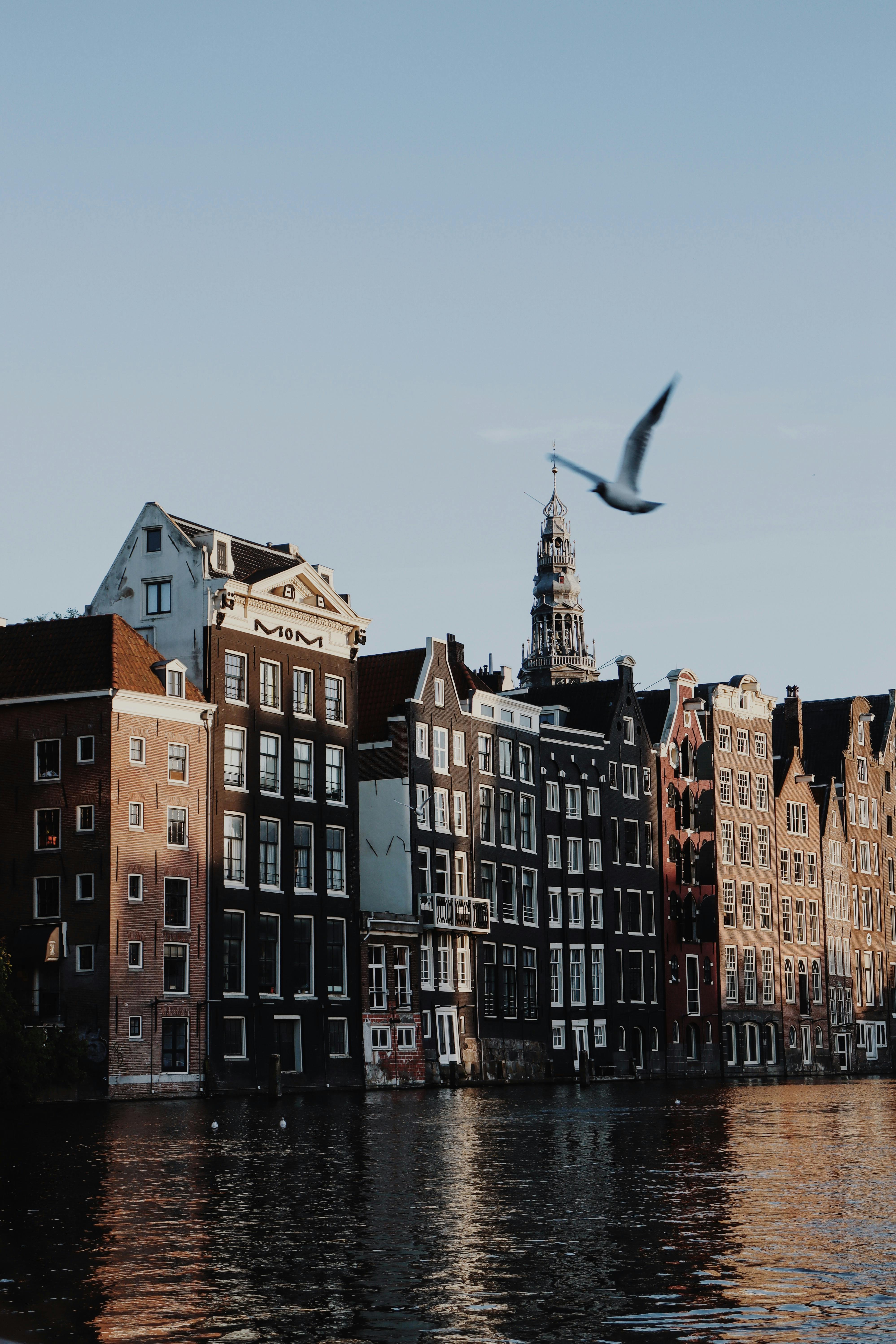 Travel Destinations Photos, Download The BEST Free Travel Destinations ...