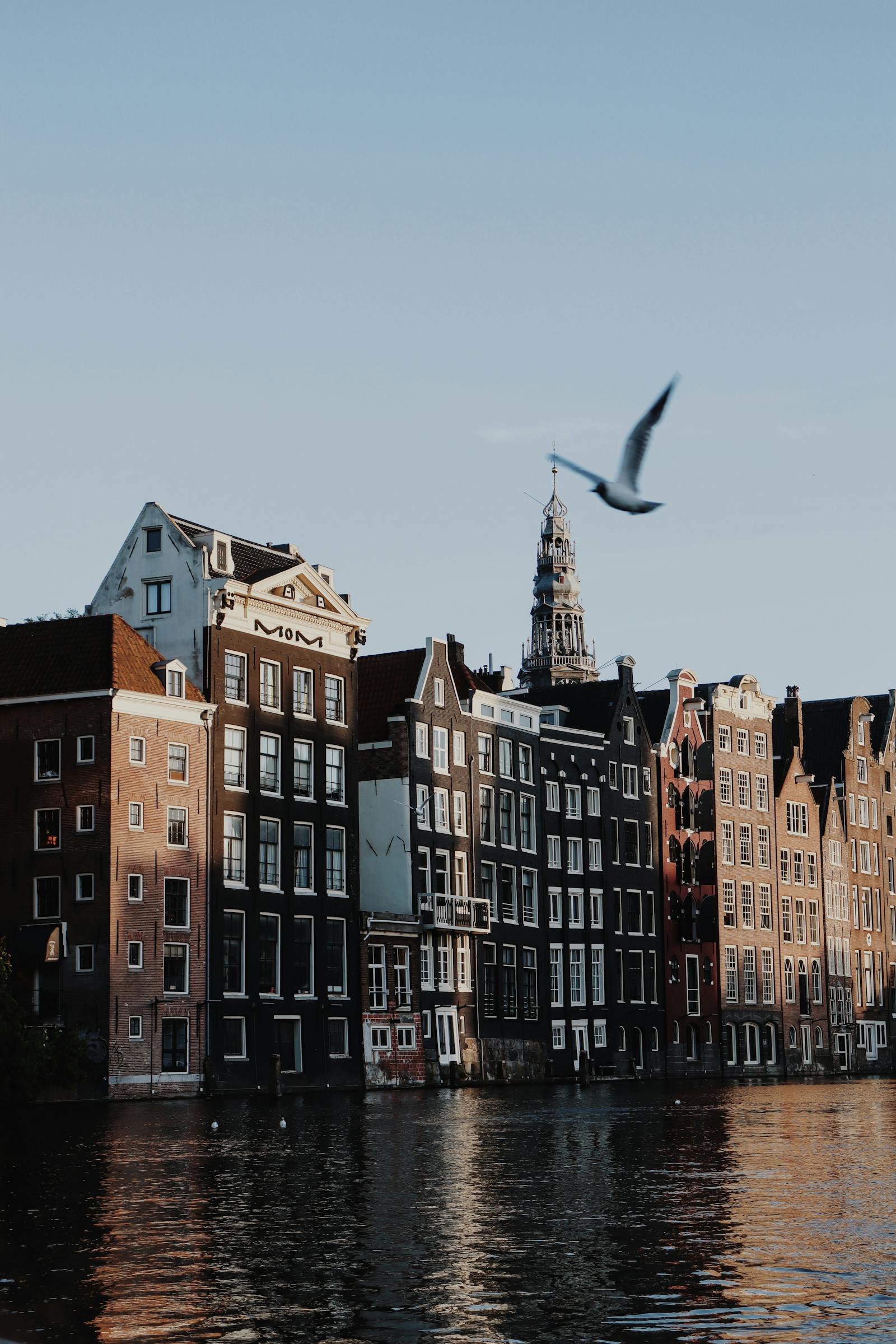 Unsplash Buildings Photos, Download The BEST Free Unsplash Buildings ...