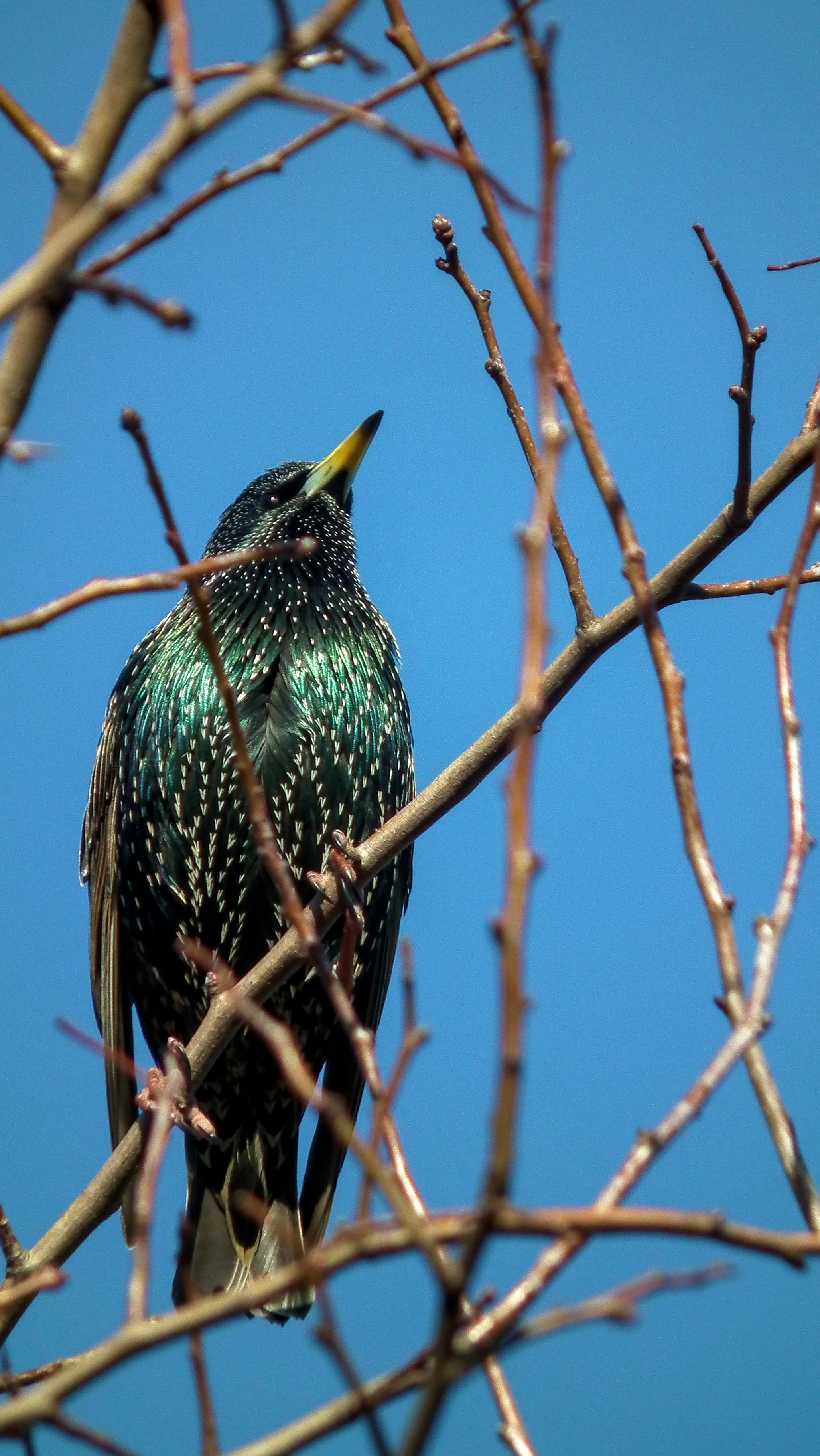 Logan Jones - Fotografía